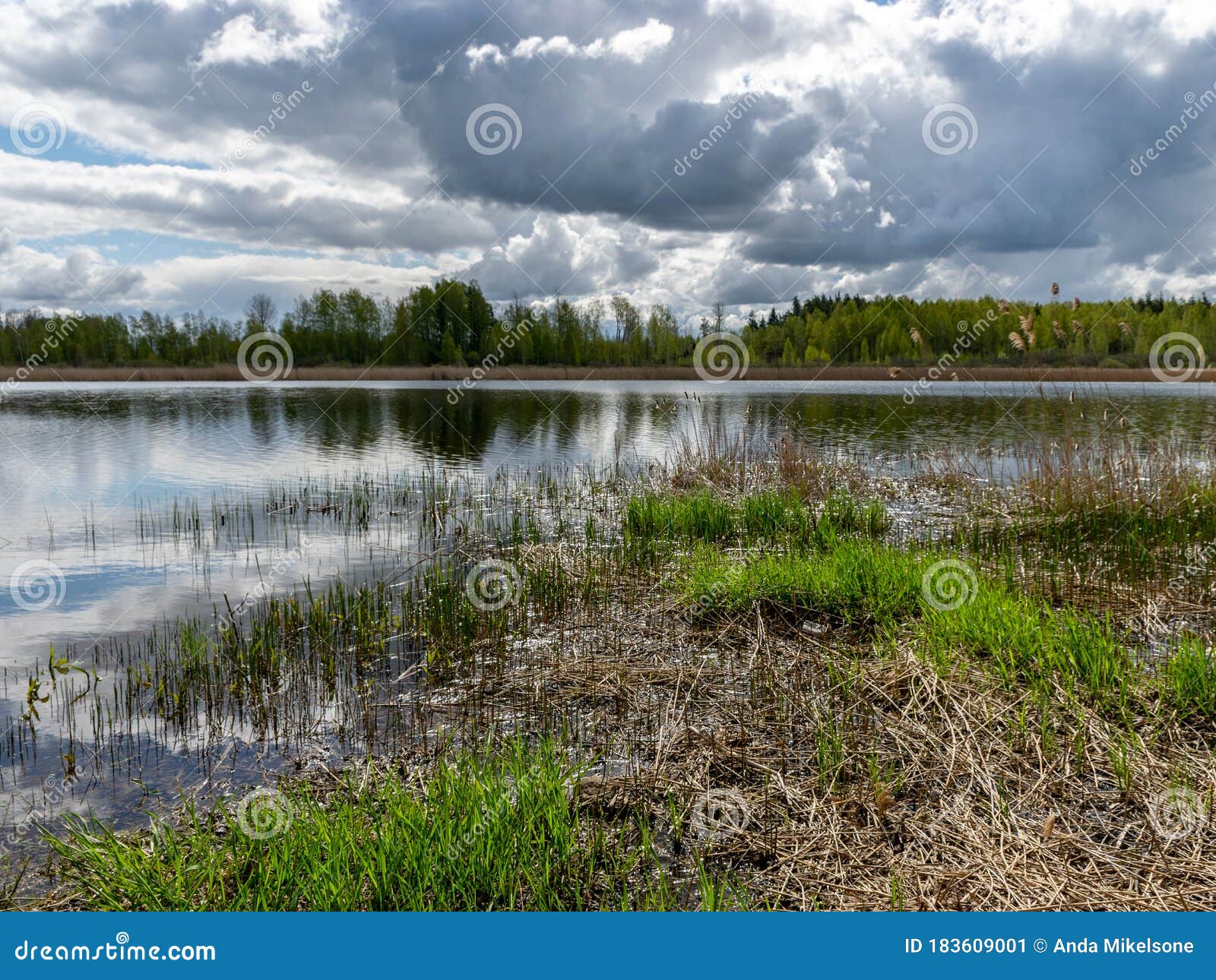 Spring Landscape with a River, the First Bright Spring Greenery on the ...