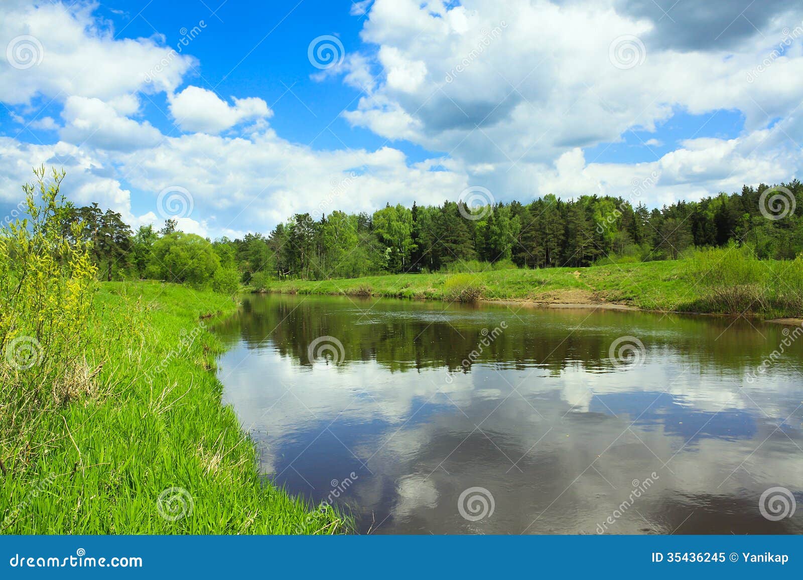 Spring Landscape with the River and the Forest Stock Image - Image of ...
