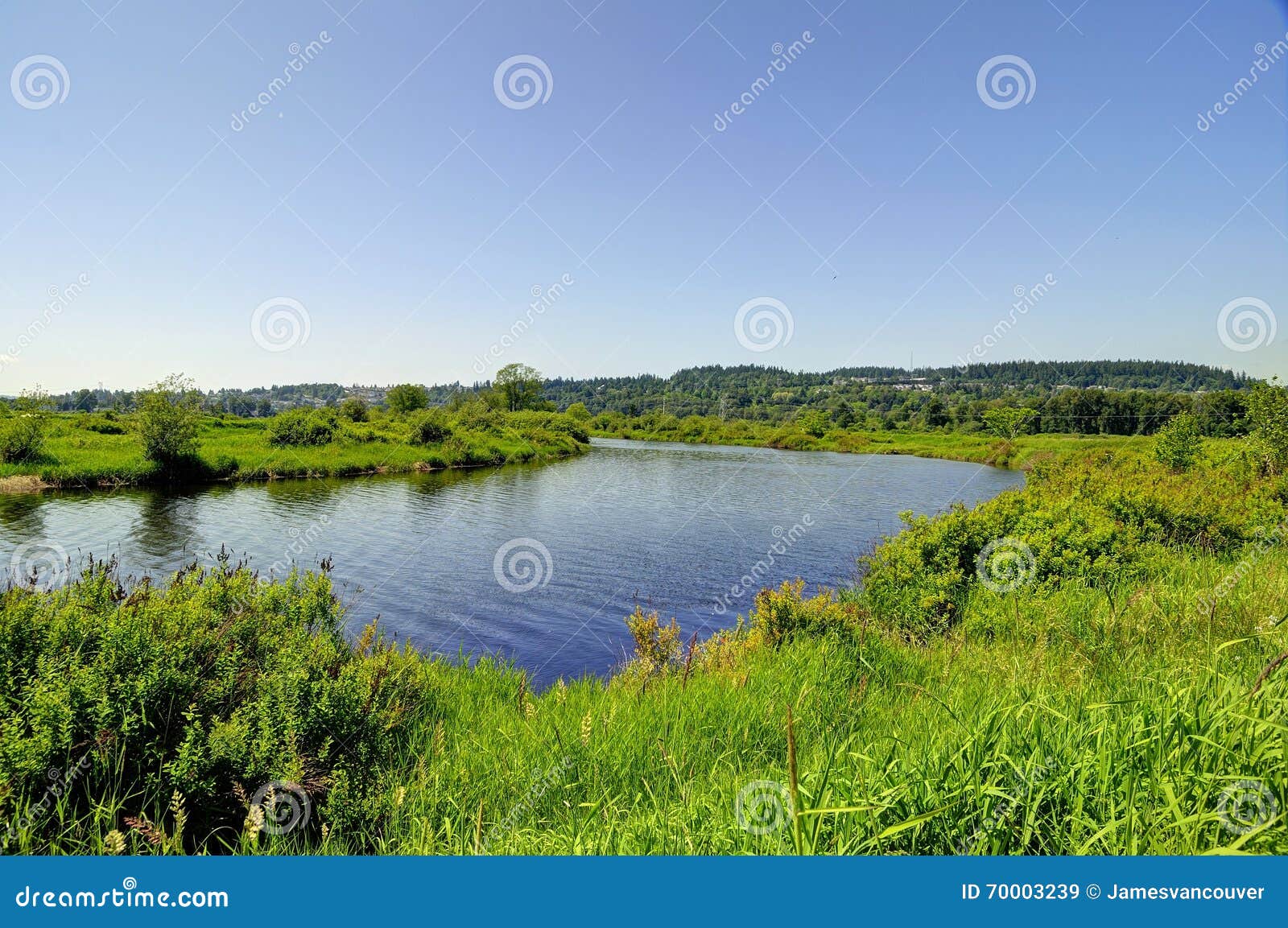 Spring Landscape with River and Meadow Stock Image - Image of british ...