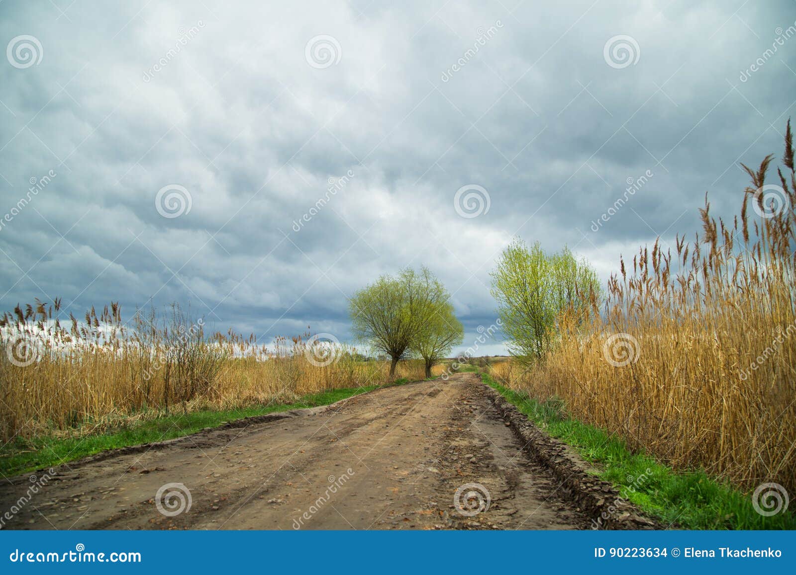 Spring Landscape, Road, Marsh Stock Photo - Image of savanna, prairie ...