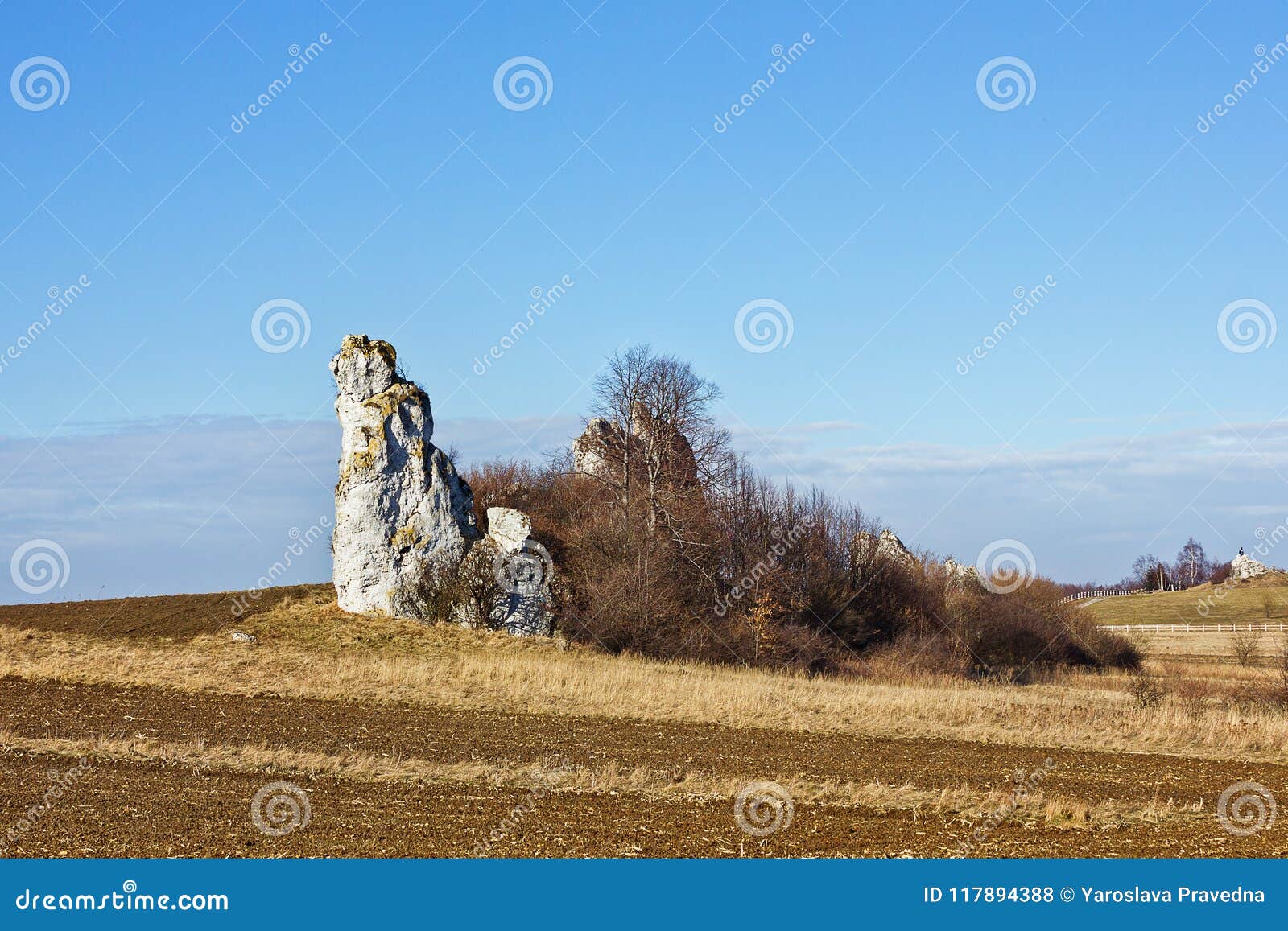 Landscape with a rock stock photo. Image of landscape - 117894388