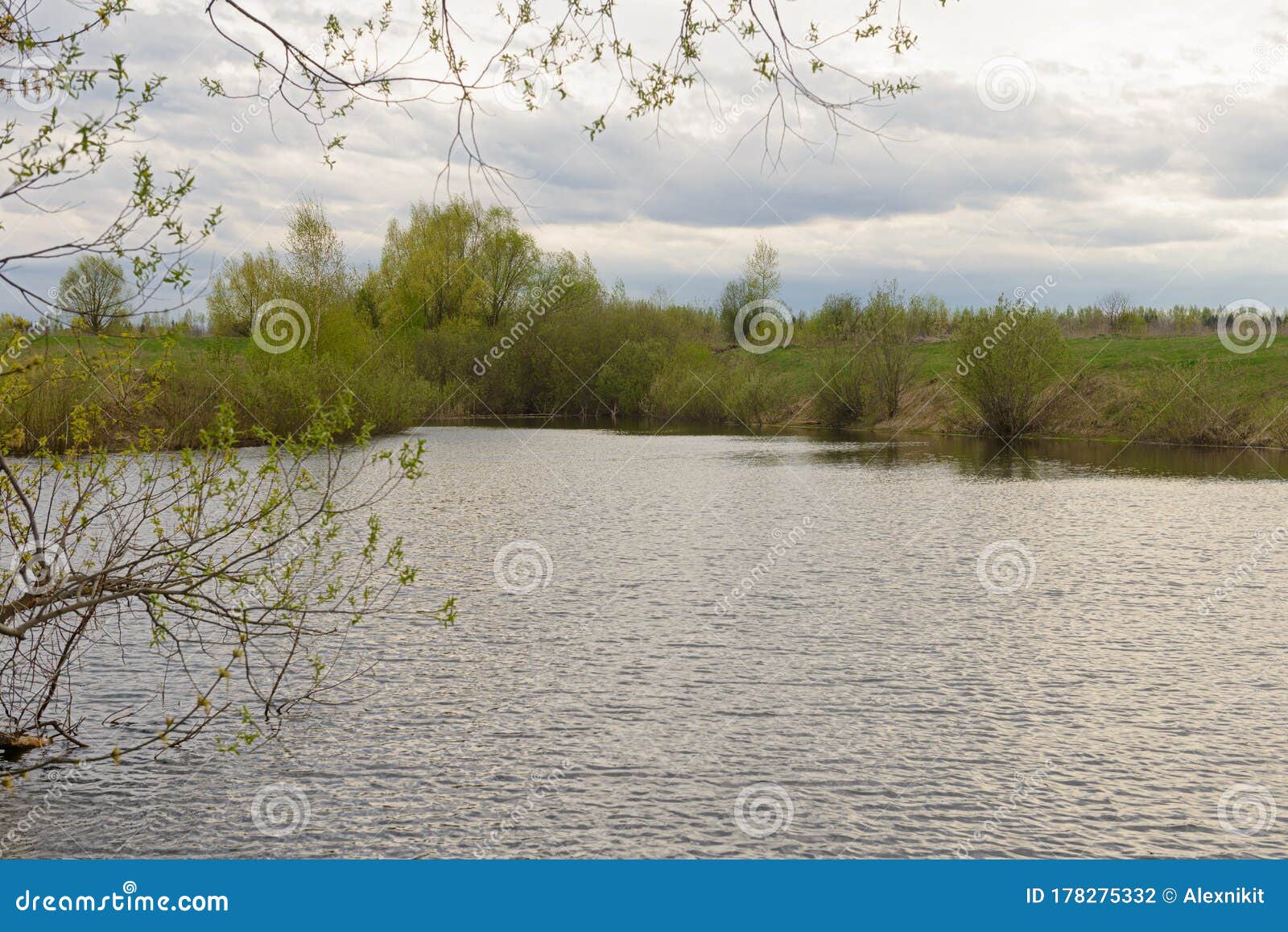 Spring Landscape with Small Lakes and Trees Near the Shore Stock Photo ...