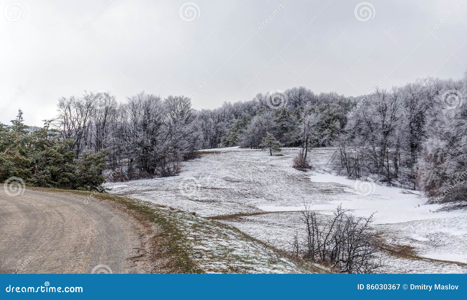 Spring landscape with snow stock image. Image of tree - 86030367