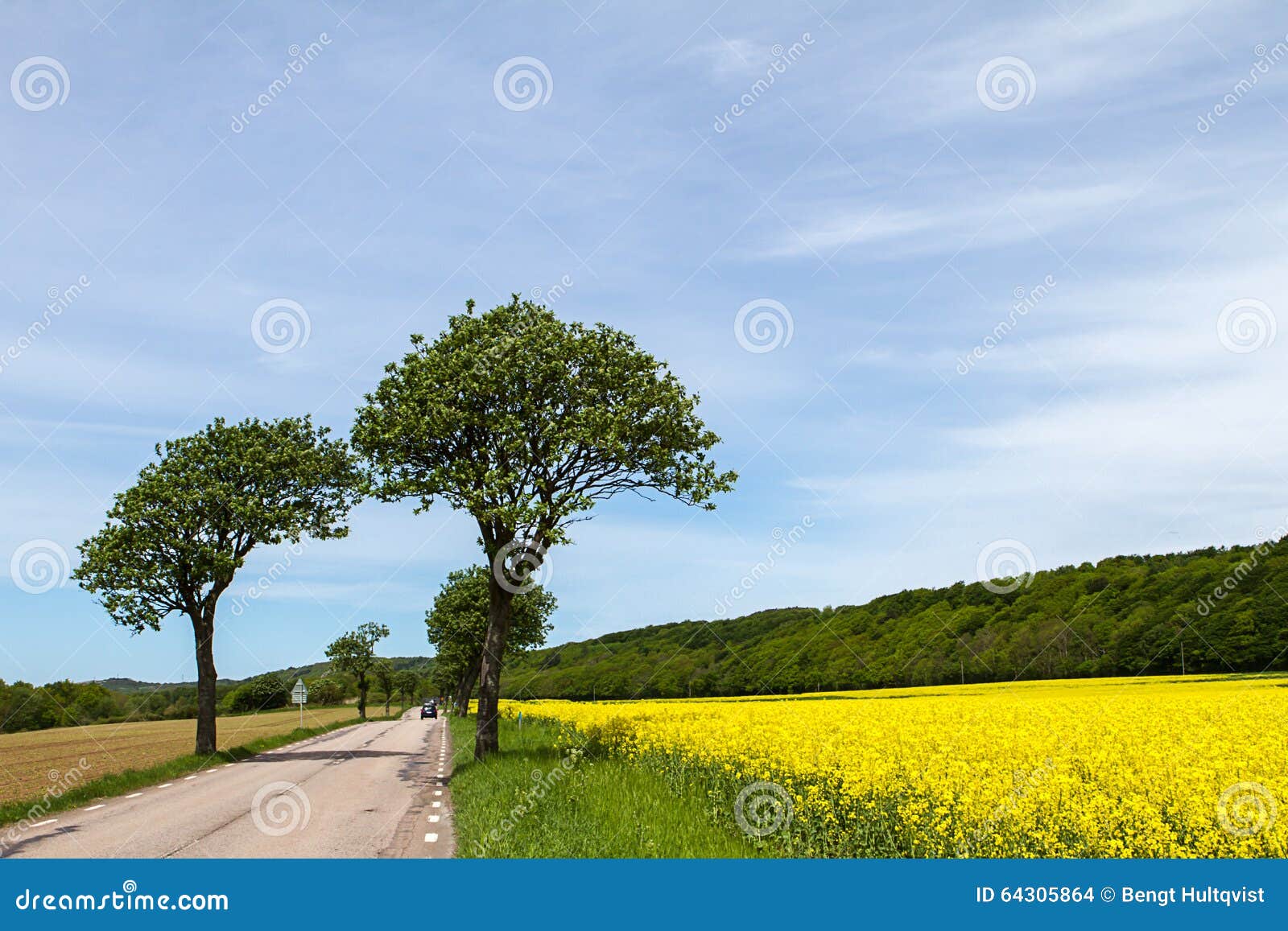 Spring Landscape in Southern Sweden Stock Photo - Image of country ...