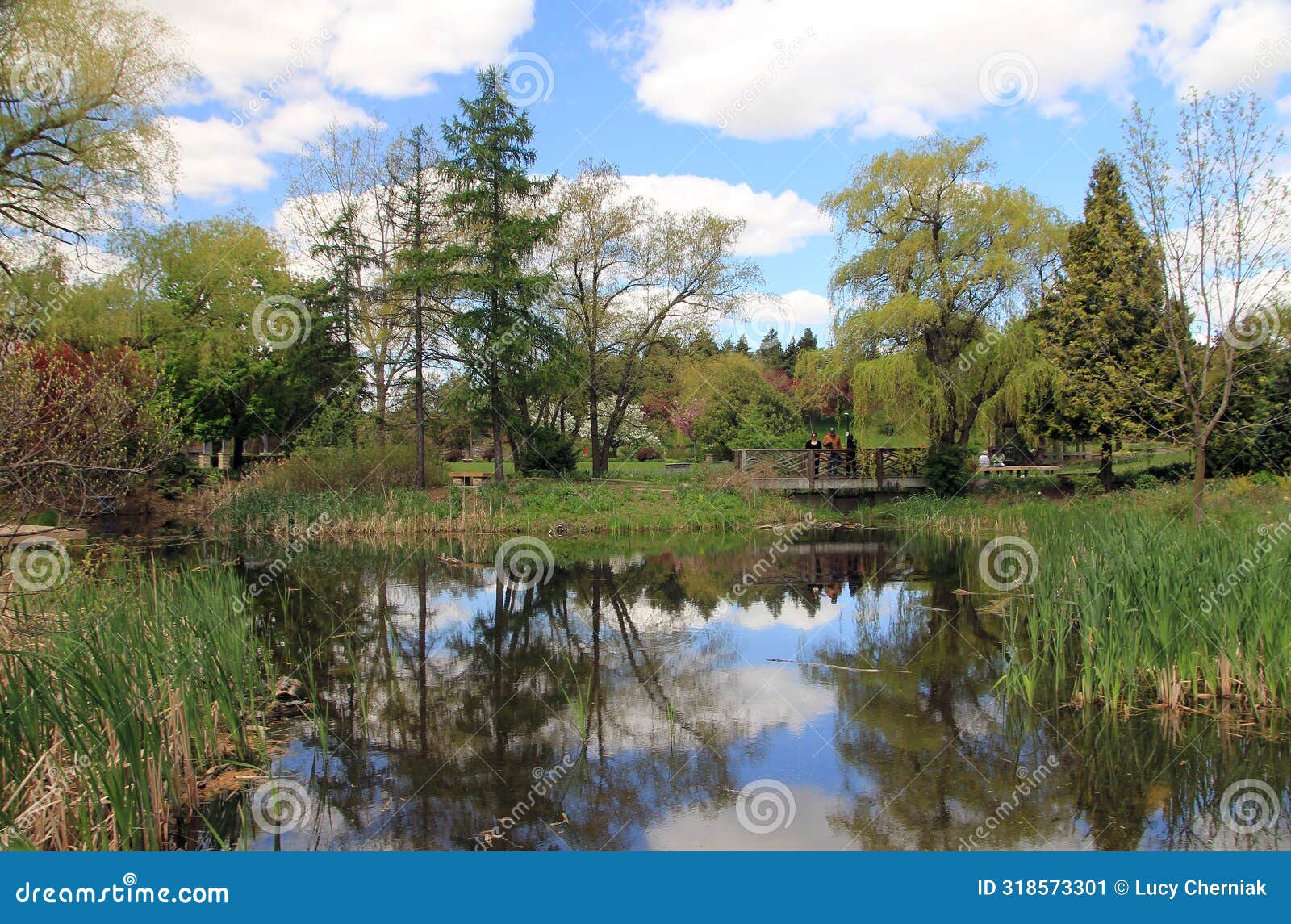Spring Landscape stock image. Image of lilac, park, nature - 318573301
