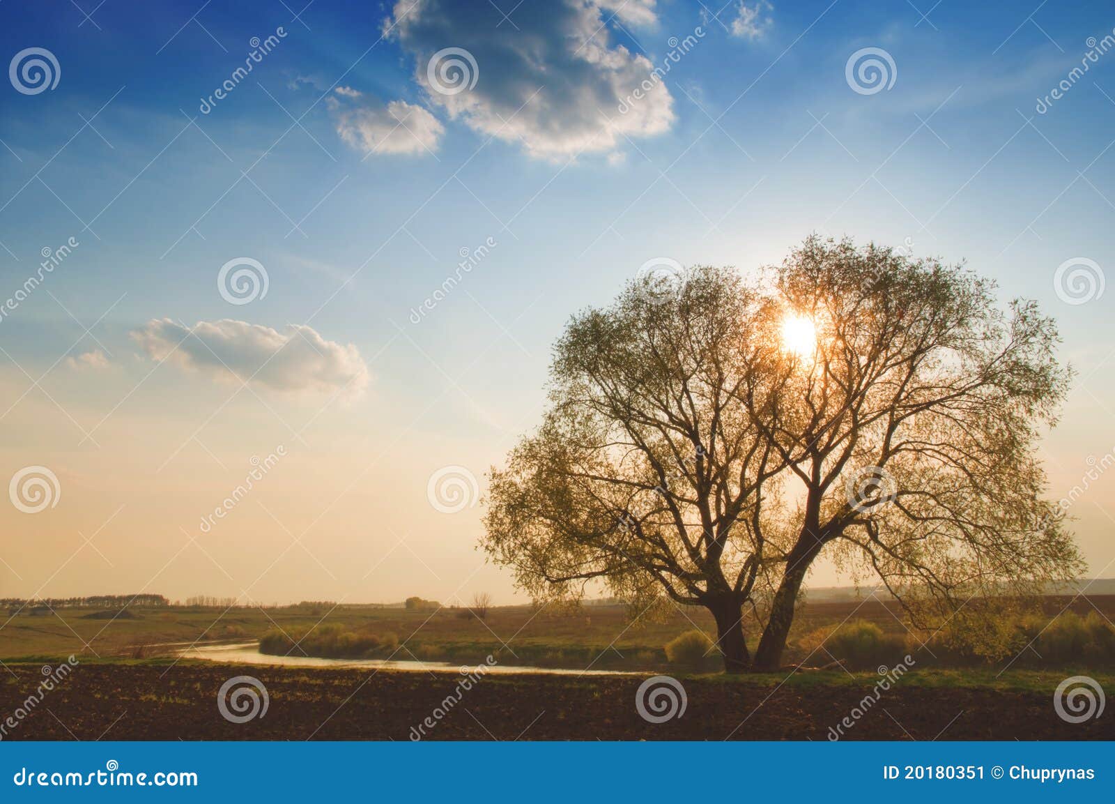 Spring landscape at sunset stock image. Image of edge - 20180351