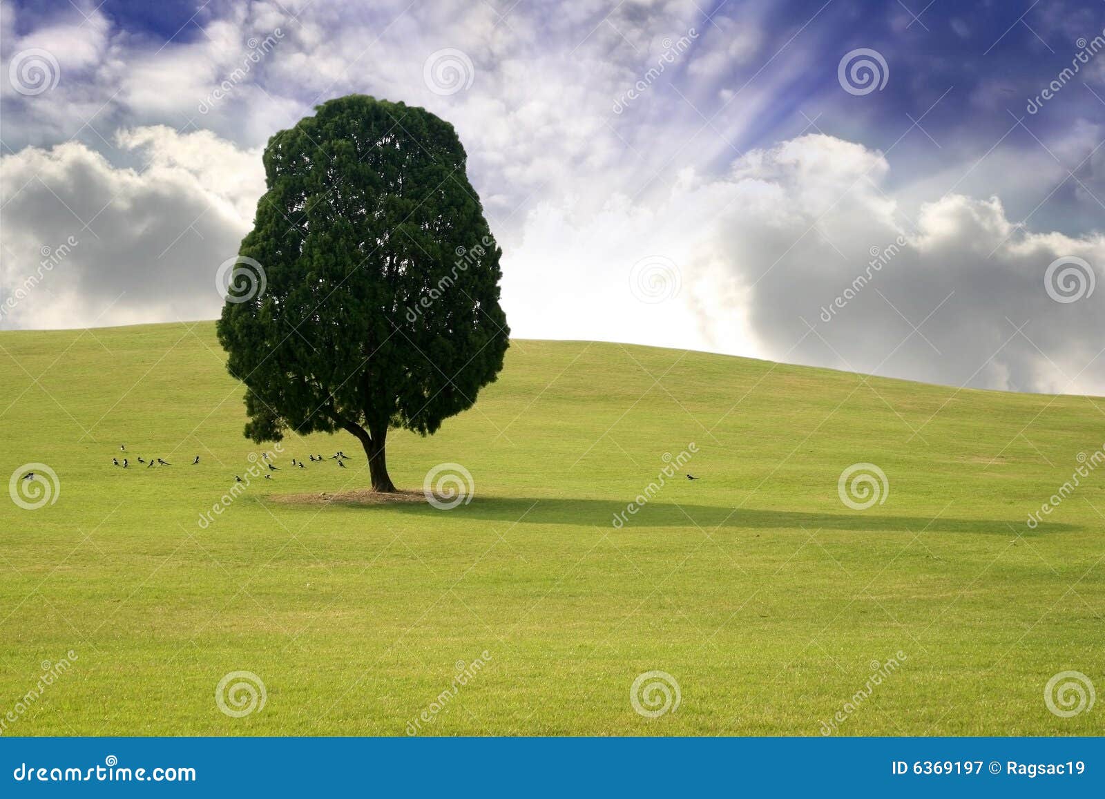 Spring Landscape in Sunset stock image. Image of nature - 6369197