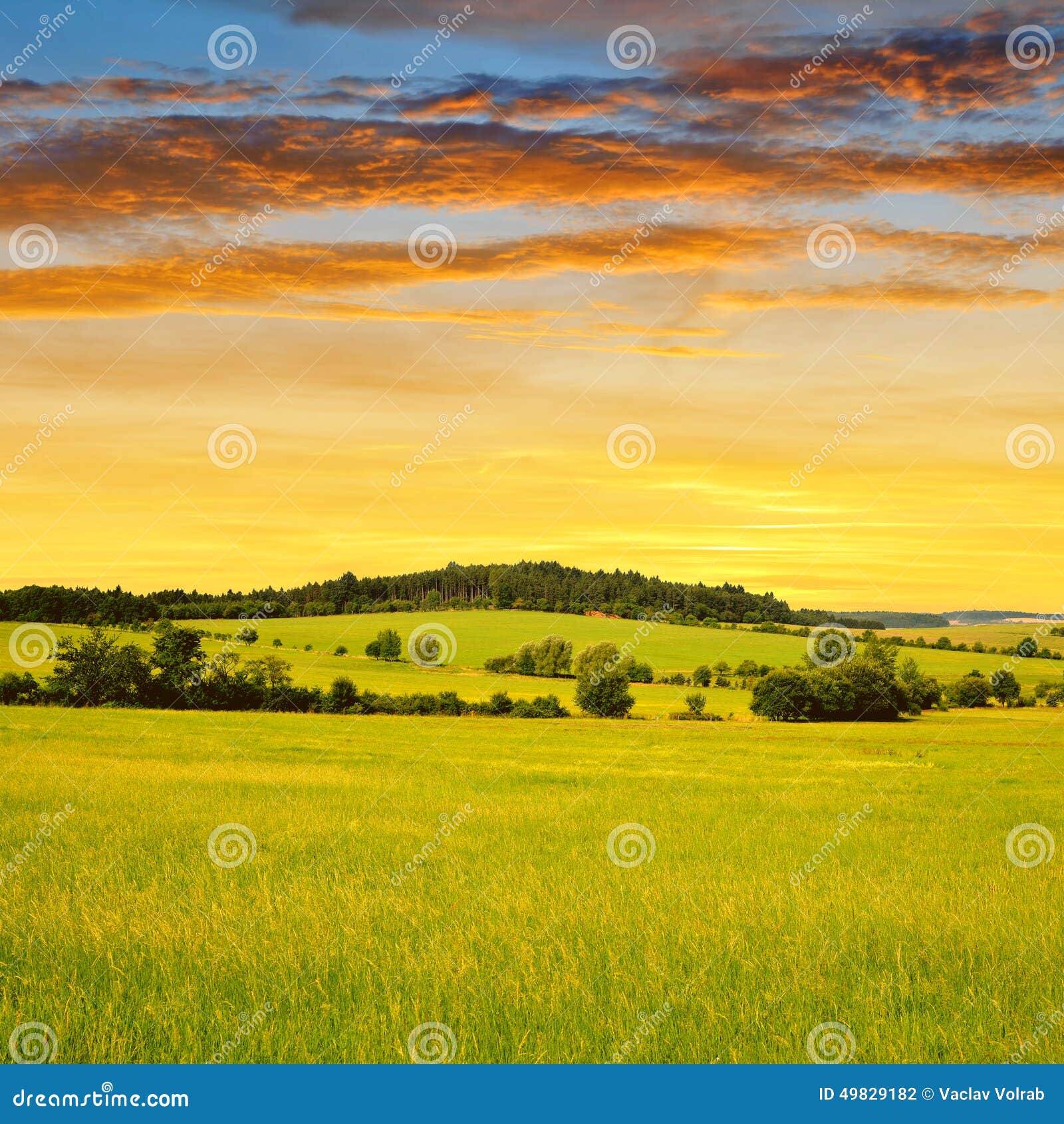 Spring landscape stock photo. Image of beauty, beautiful - 49829182