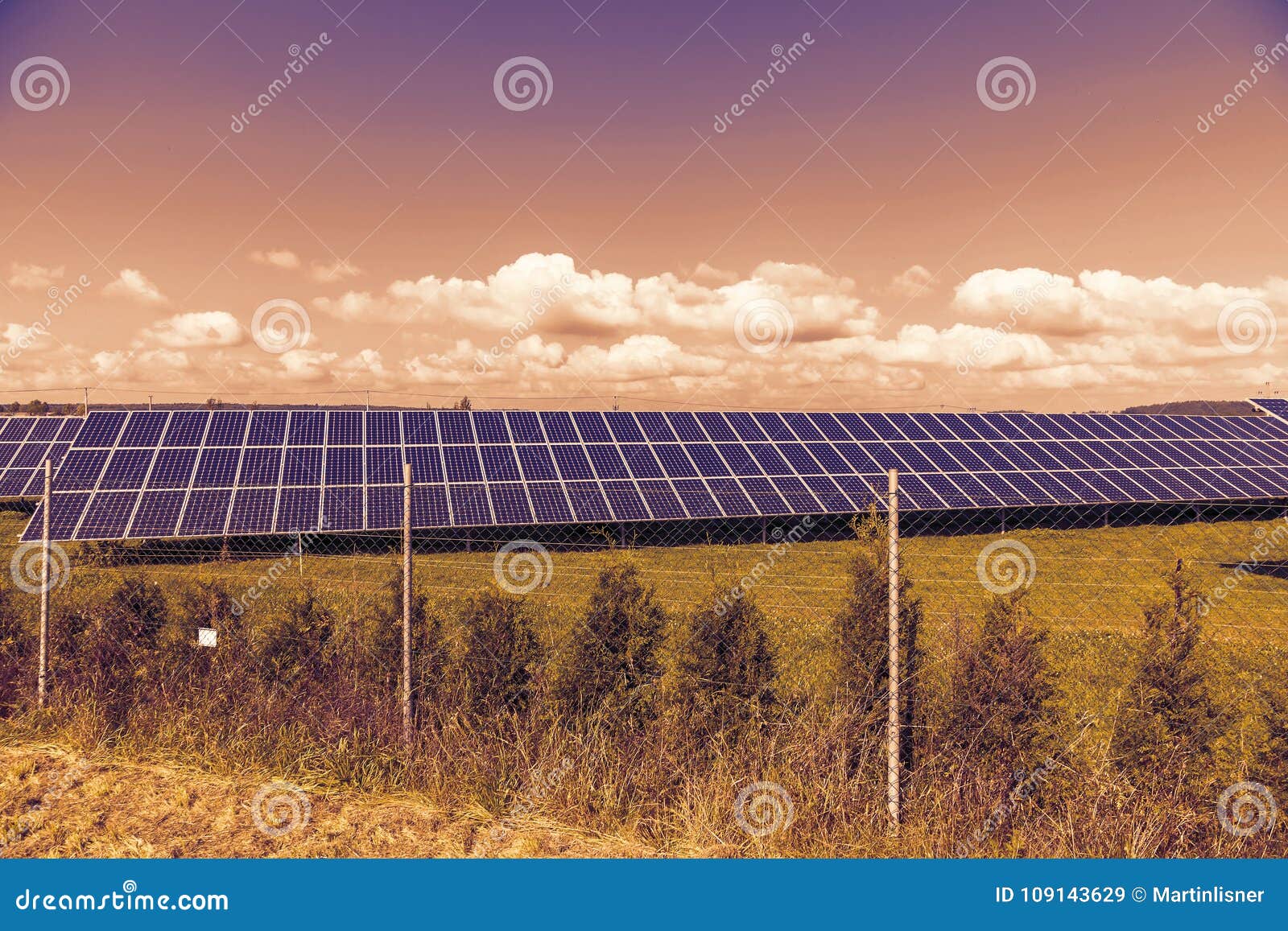 Spring Landscape at Sunset with Solar Panels Stock Image - Image of ...