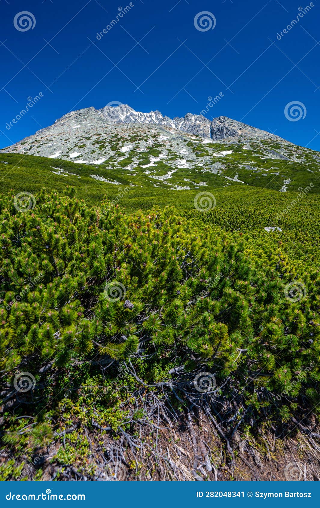 Spring Landscape of the Tatra Mountains, Slovakia Stock Image - Image ...