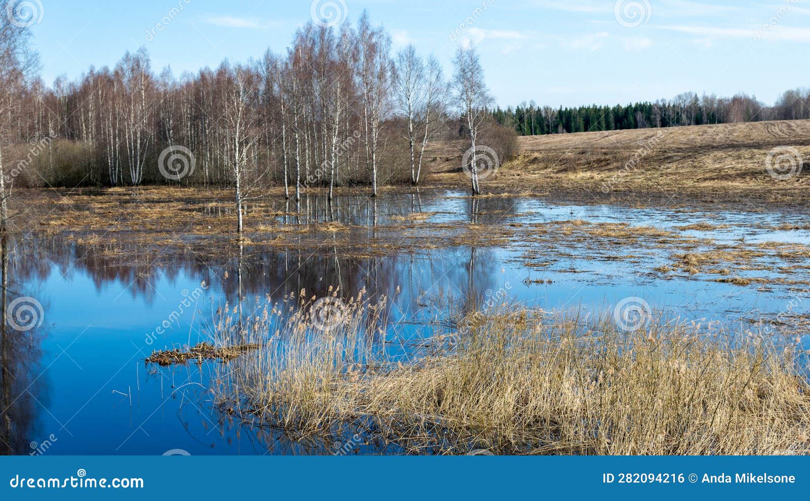 Spring Landscape with Trees, Beautiful Sky, Overflowing River Stock ...