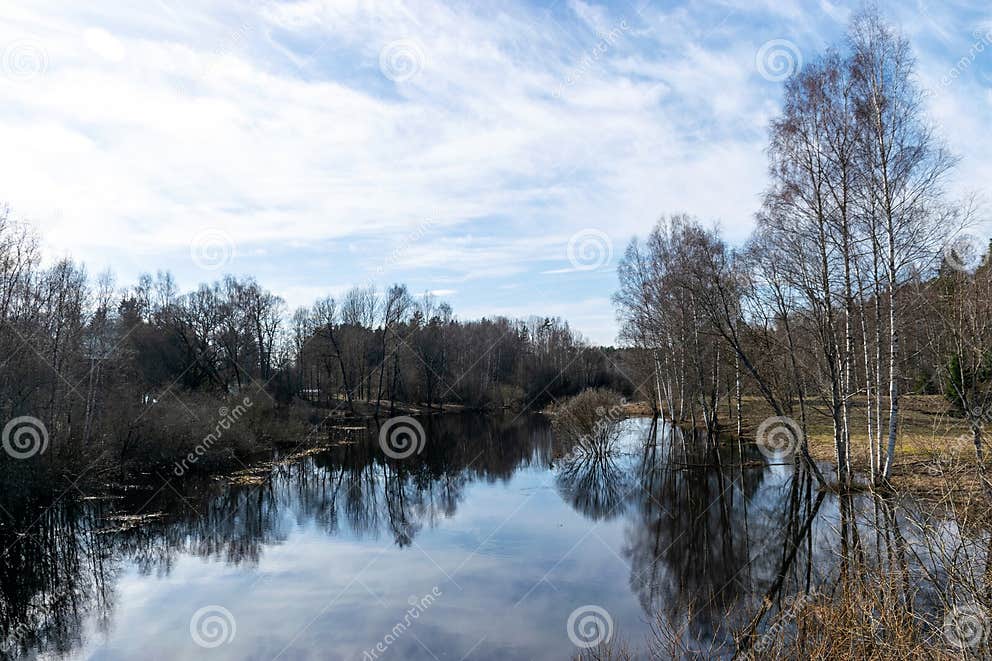 Spring Landscape with Trees, Beautiful Sky, Overflowing River Stock ...