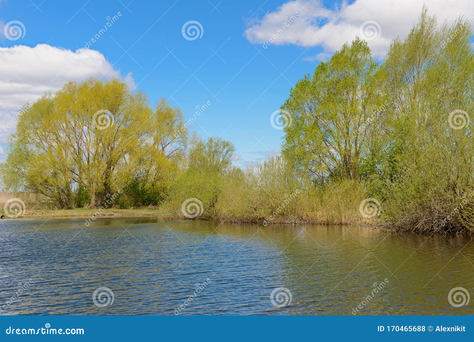 Spring Landscape with Trees on the Lake Stock Photo - Image of panorama ...