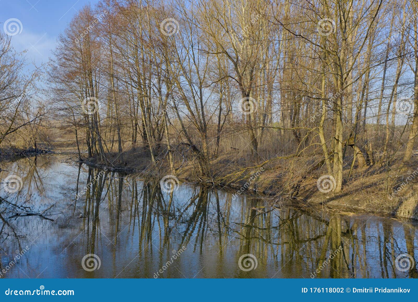 Spring Landscape Trees without Leaves and Their Reflection in the River ...