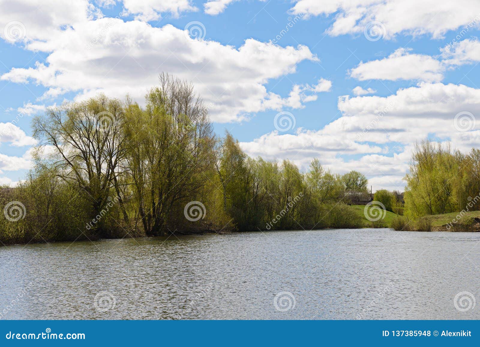 Spring Landscape with Trees by the Pond Stock Photo - Image of natural ...