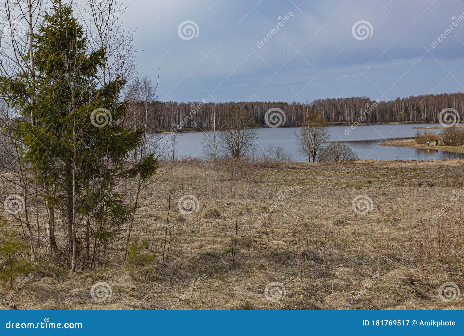 Spring Landscape with Trees and Sky Stock Image - Image of country ...