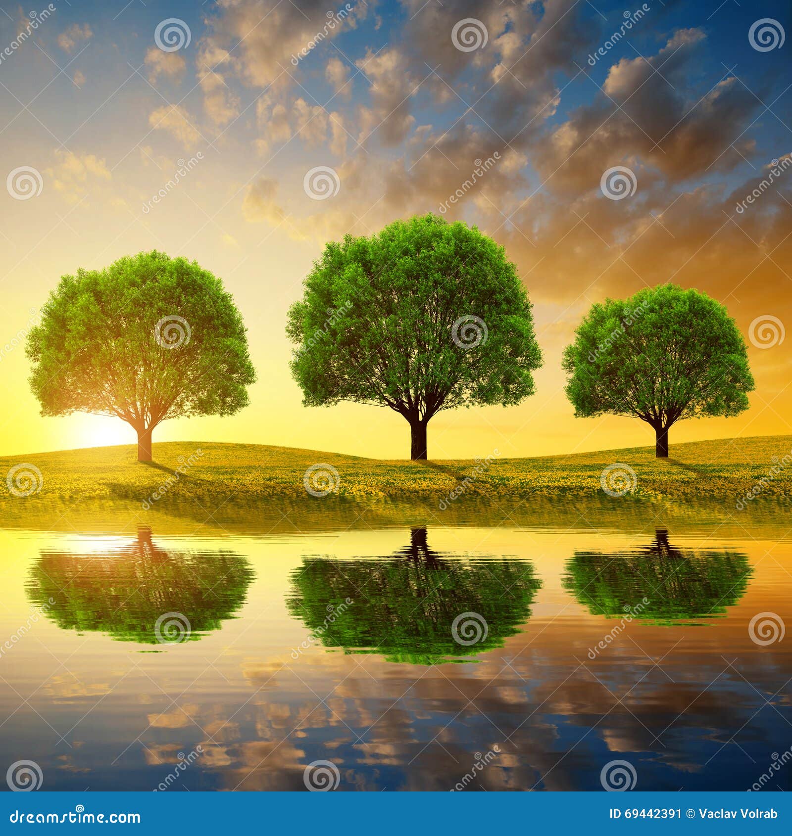Spring landscape stock image. Image of summertime, reflection - 69442391