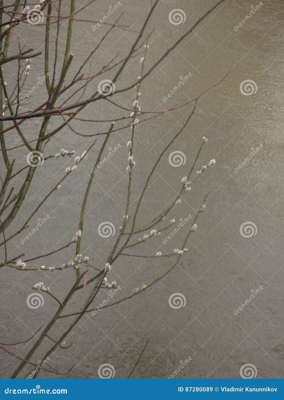 Spring landscape stock image. Image of locality, twigs - 87280089