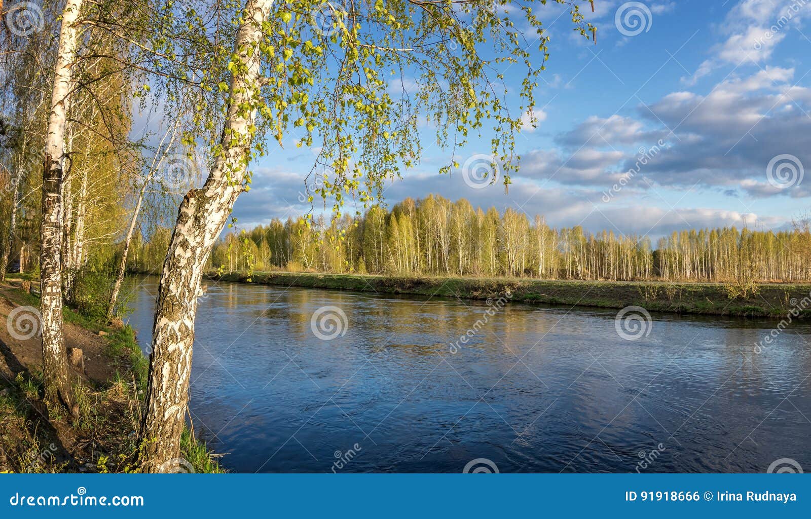 Spring Landscape at the Ural River with Birch, Russia Stock Photo ...