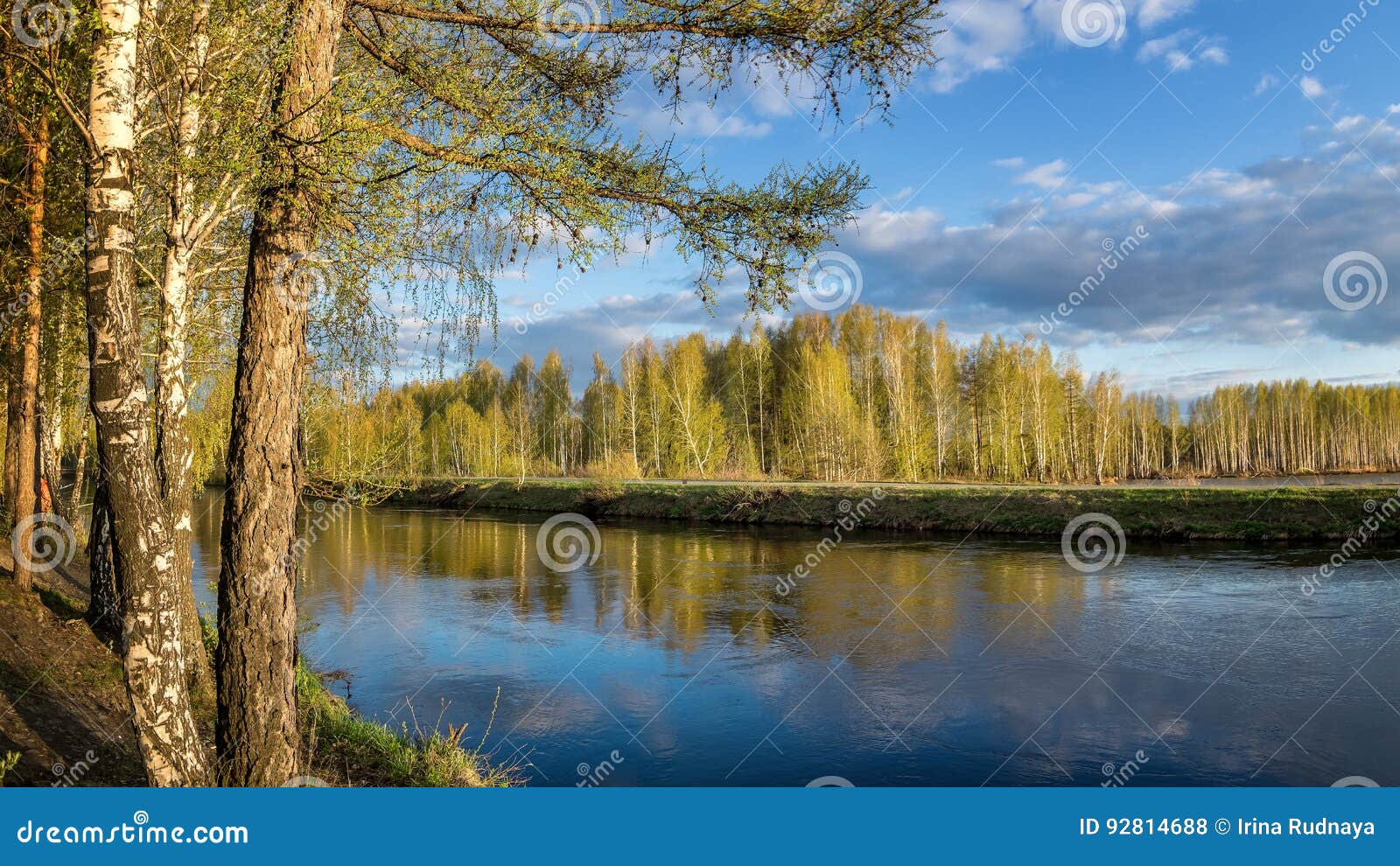 Spring Landscape at the Ural River with Birch, Russia Stock Photo ...