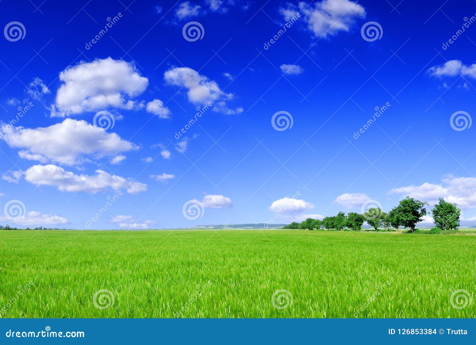 Spring Landscape, View of Green Field and the Blue Sky Stock Photo ...