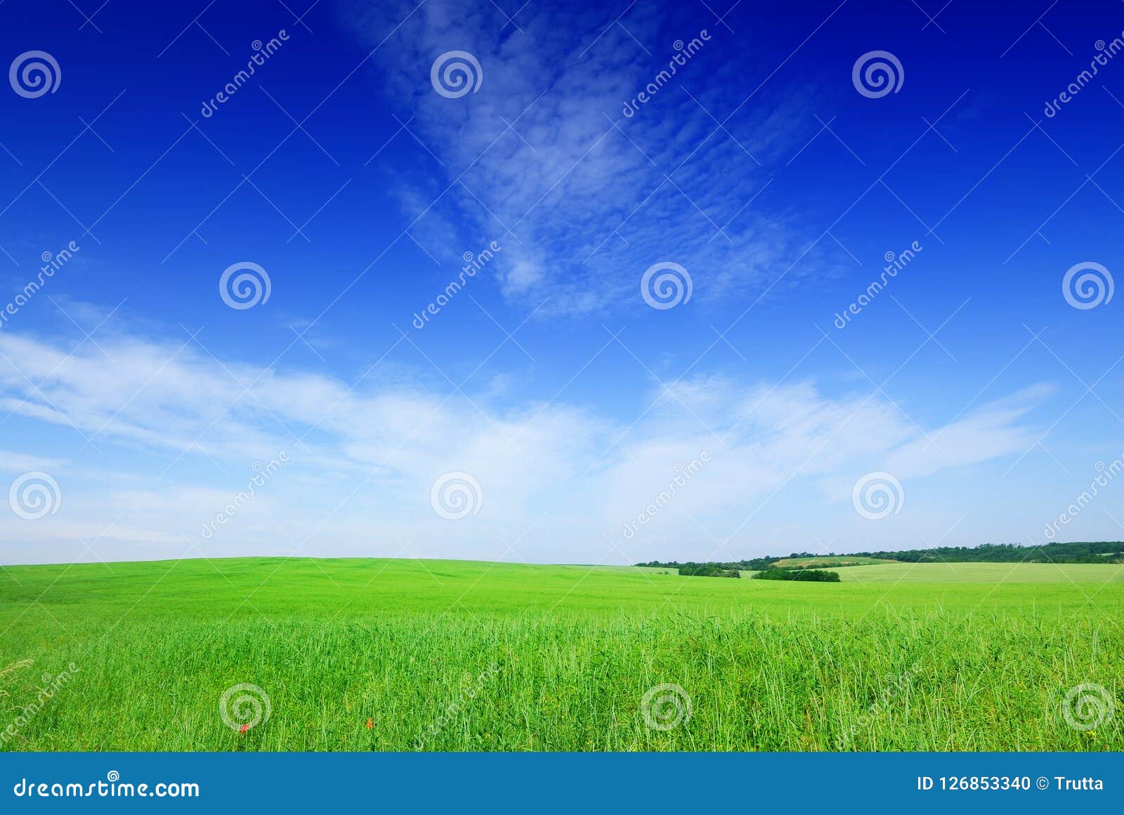 Idyll, View of Green Field and the Blue Sky Stock Photo - Image of ...