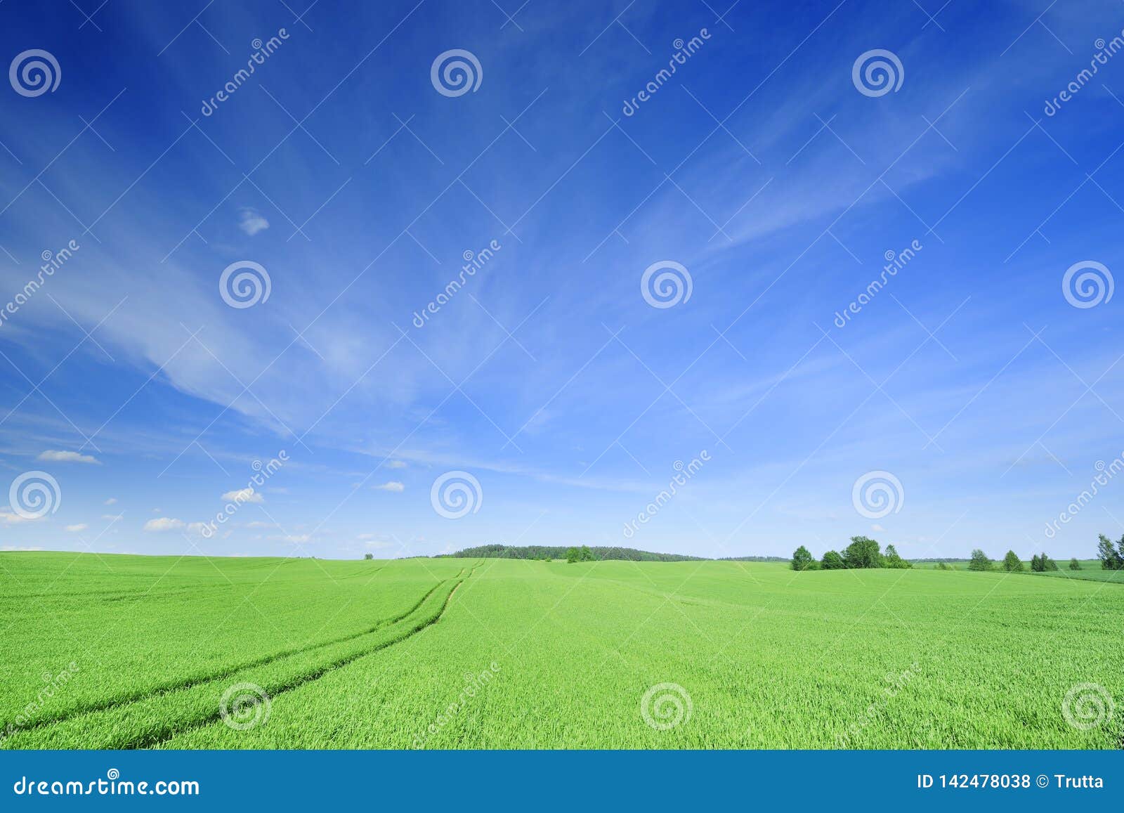 Idyll, View of Green Field and the Blue Sky Stock Photo - Image of ...