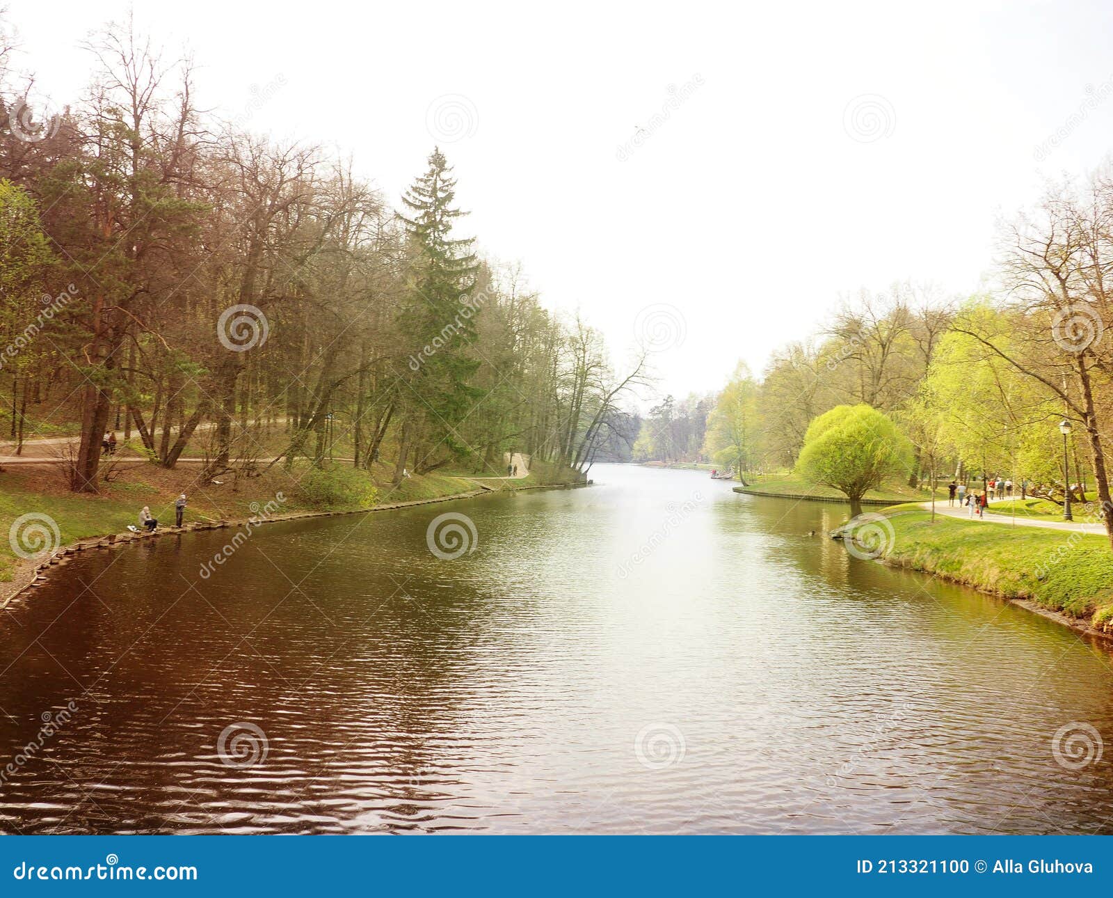 Spring Landscape, View of the River and the Forest Stock Photo - Image ...