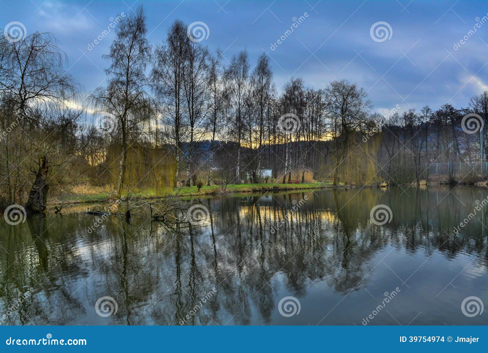Spring Landscape, the Water Level in Front of Trees Stock Photo - Image ...