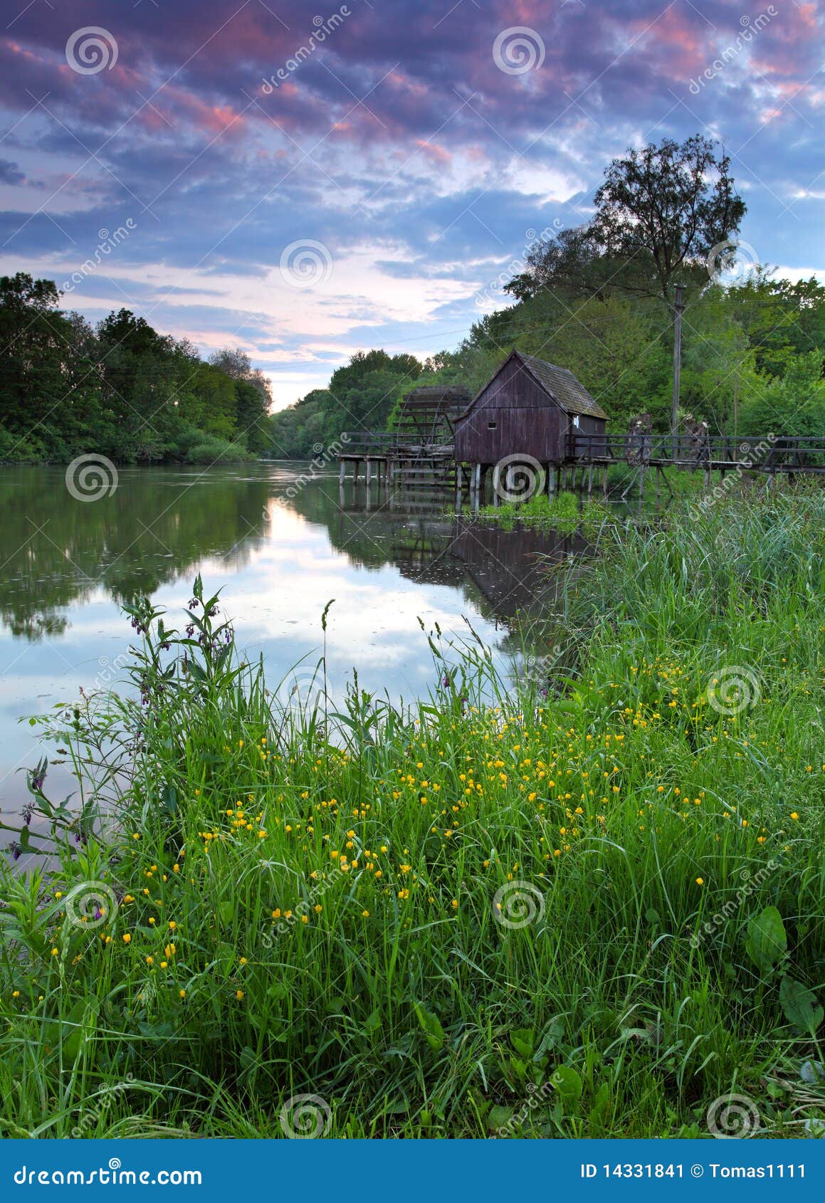 Spring Landscape with Watermill Stock Image - Image of historic, color ...