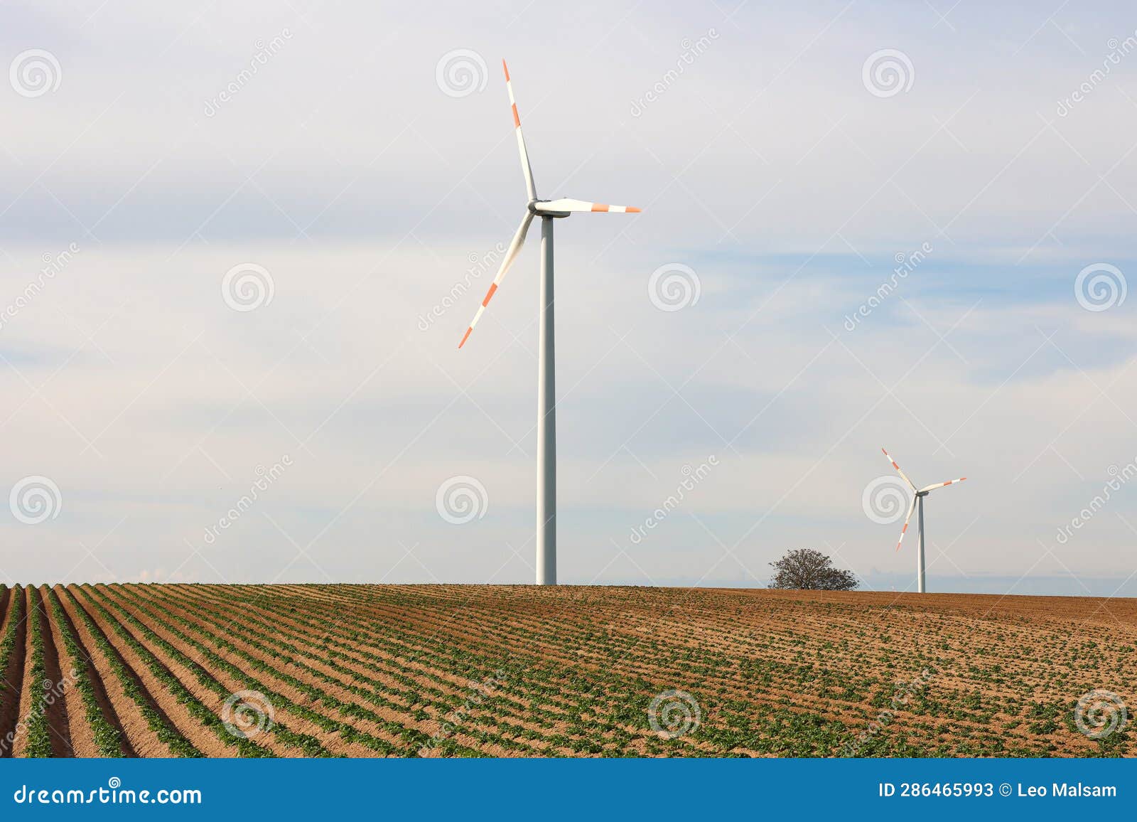 Spring Landscape with Windmills on the Horizon Stock Image - Image of ...
