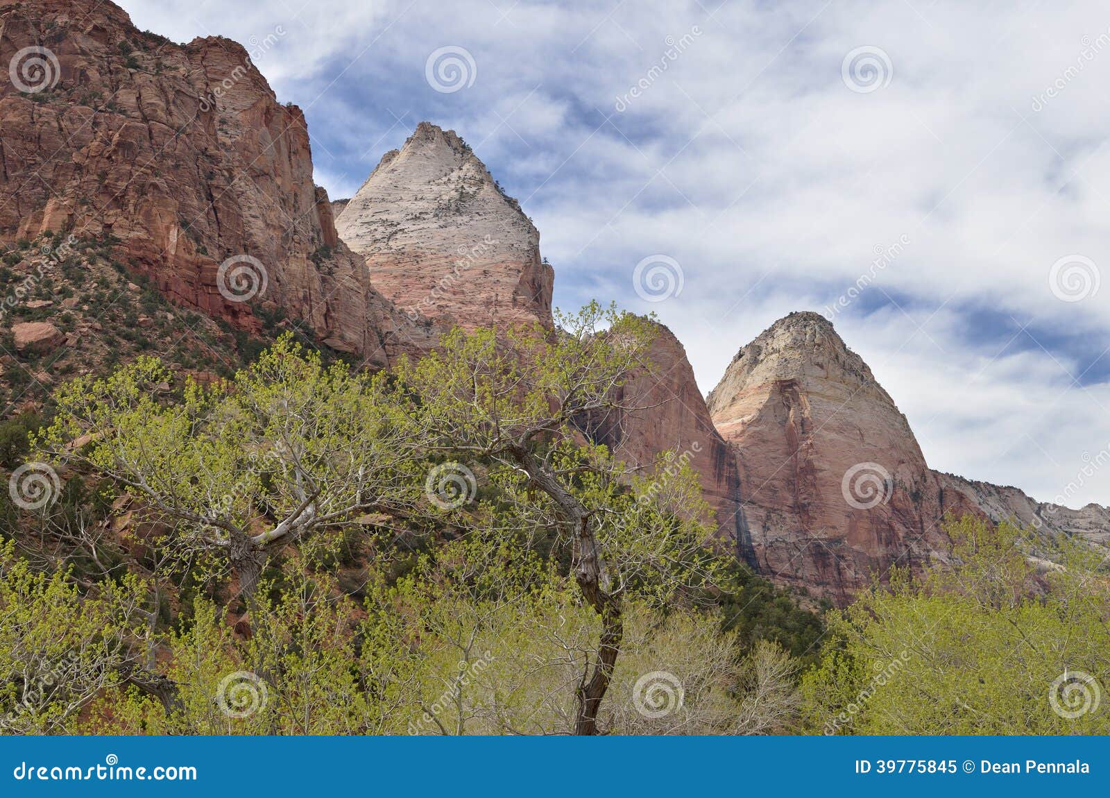 Spring Landscape Zion National Park Stock Image - Image of mountains ...