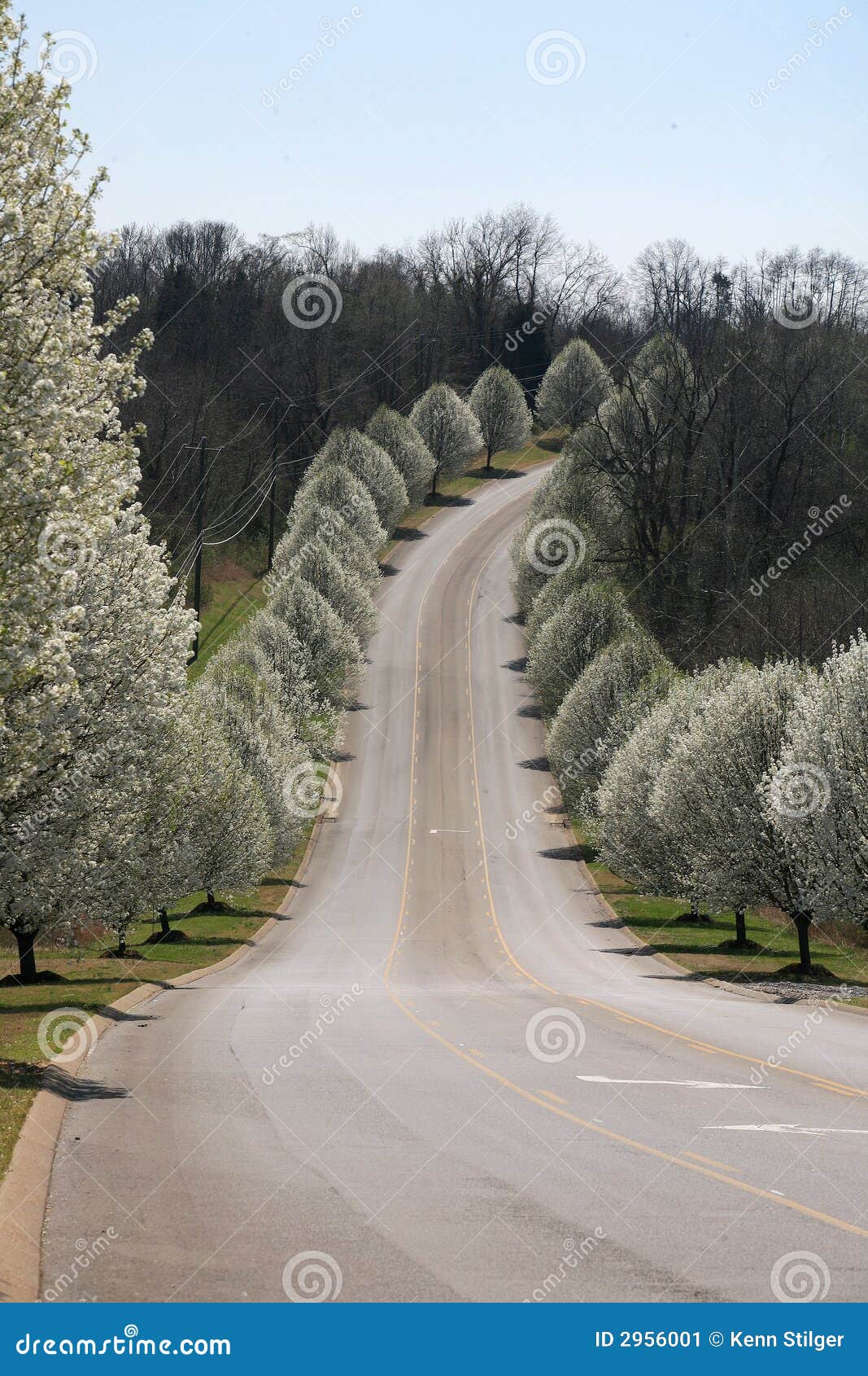 Spring lane Nashville stock image. Image of tennessee - 2956001