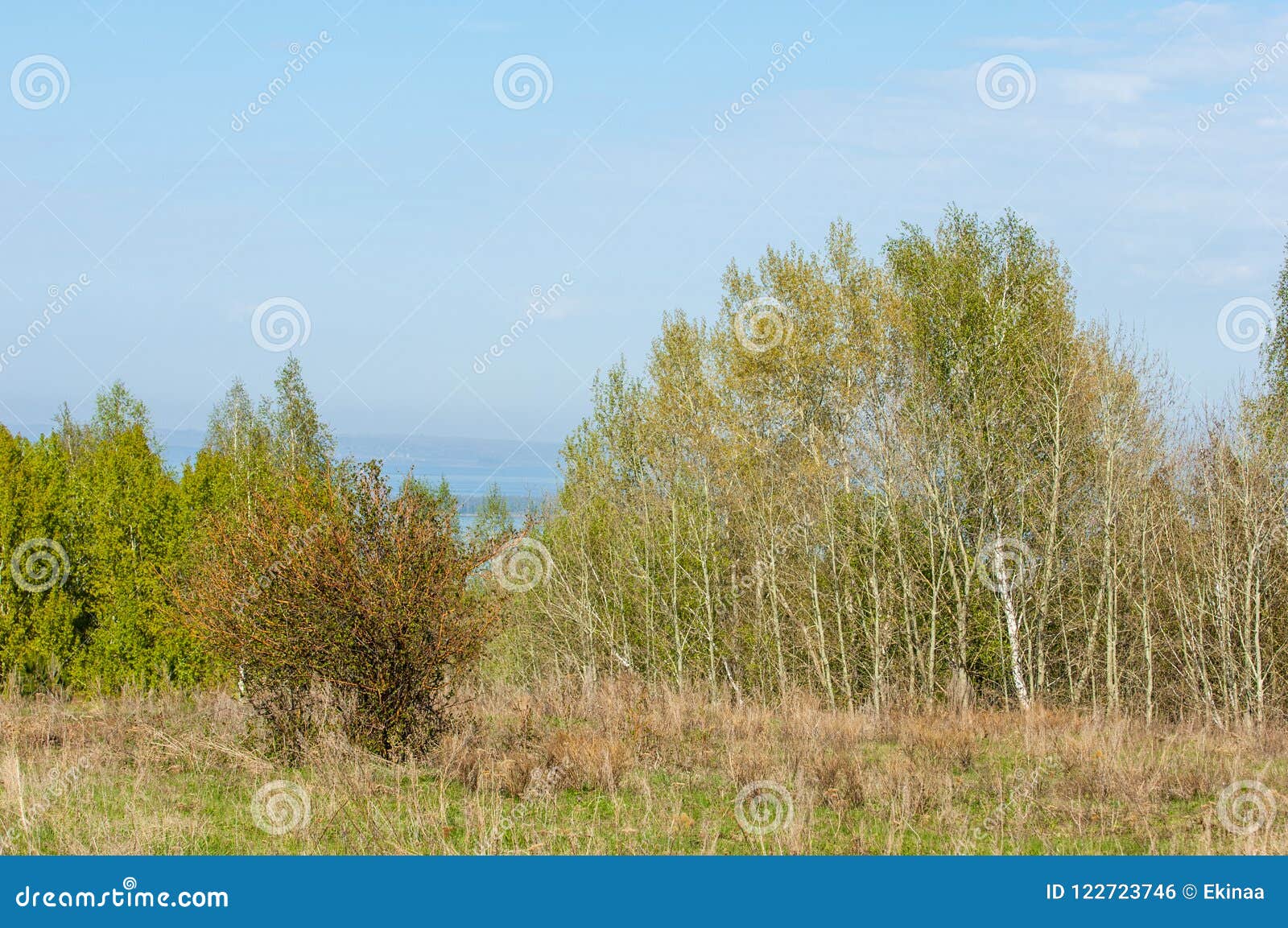 Spring, a Large River, Colorful Trees. Stock Photo - Image of home ...