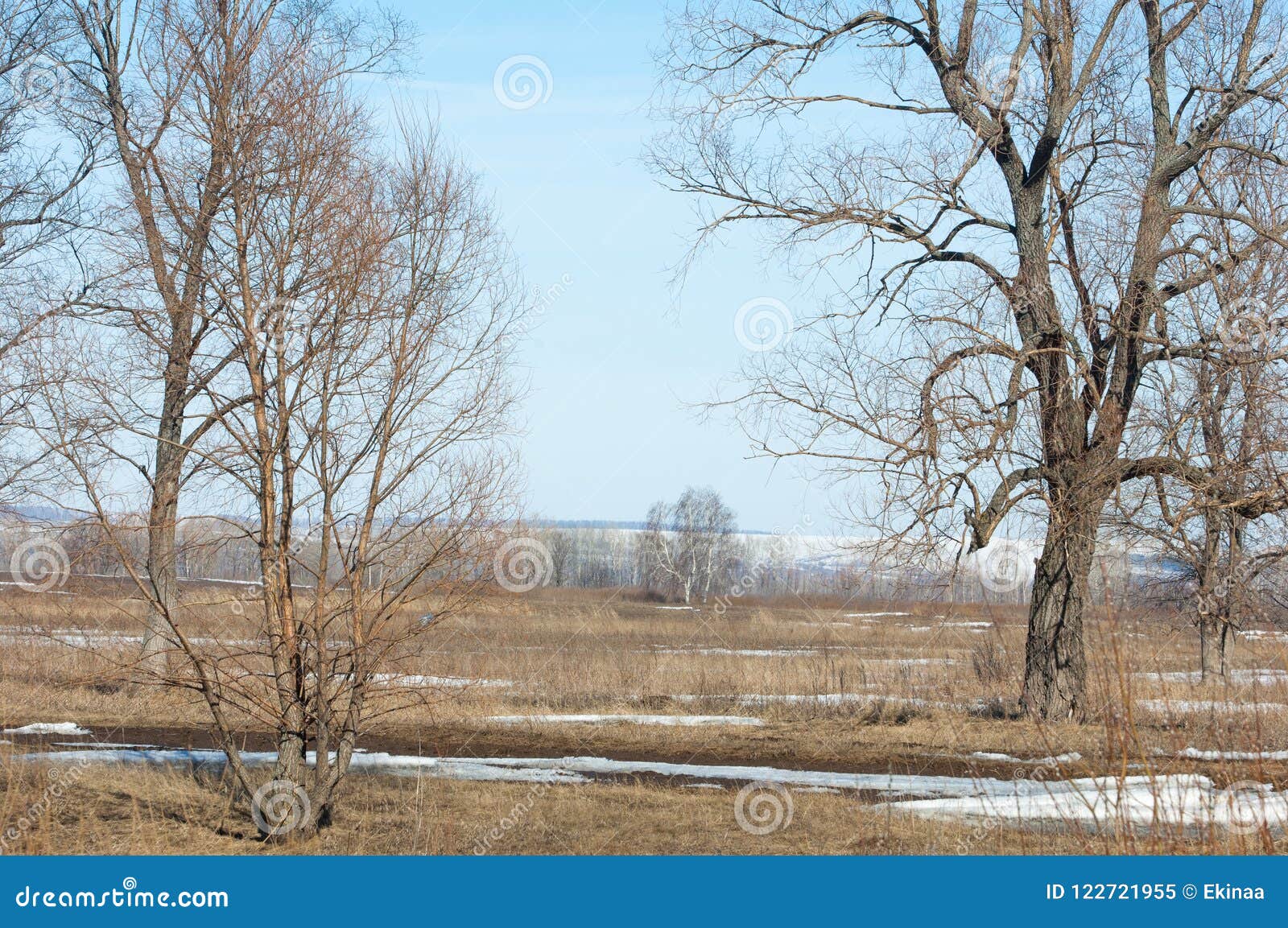 Spring last snow. stock image. Image of area, arrival - 122721955
