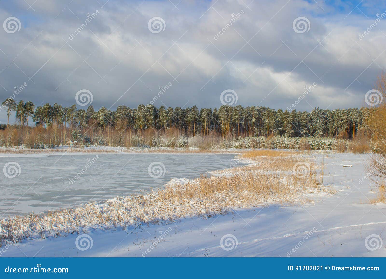 The spring is late stock image. Image of winter, view - 91202021