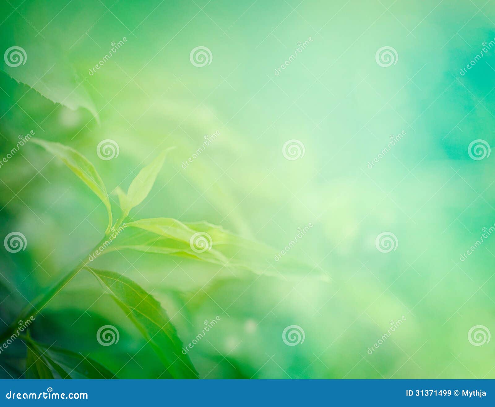Spring leaf background stock image. Image of bright, spring - 31371499