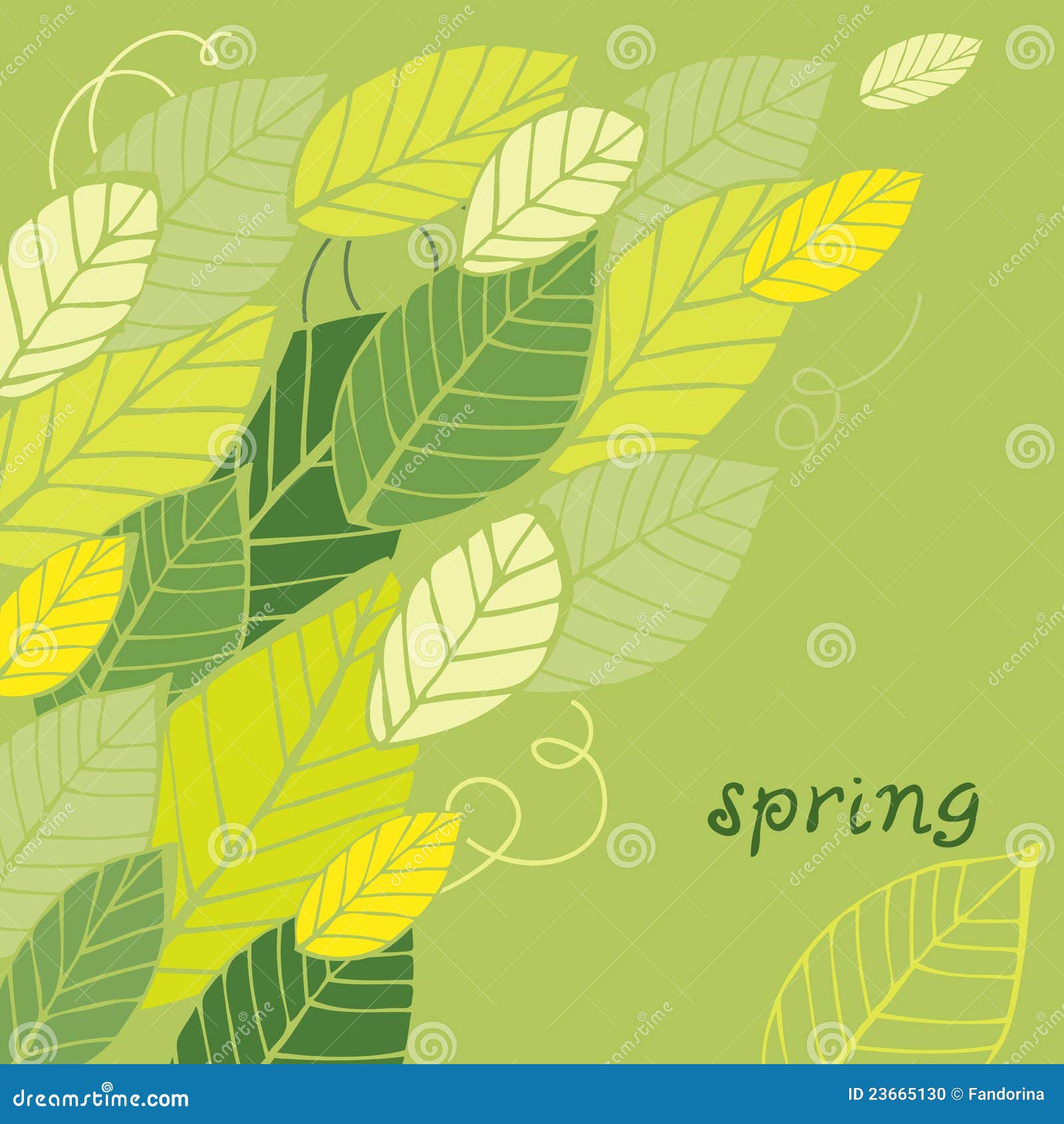 Spring leaf card stock vector. Illustration of wallpaper - 23665130