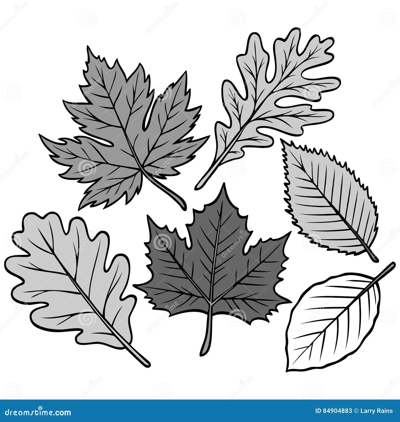 Spring Leaf Collection Illustration Stock Vector - Illustration of ...