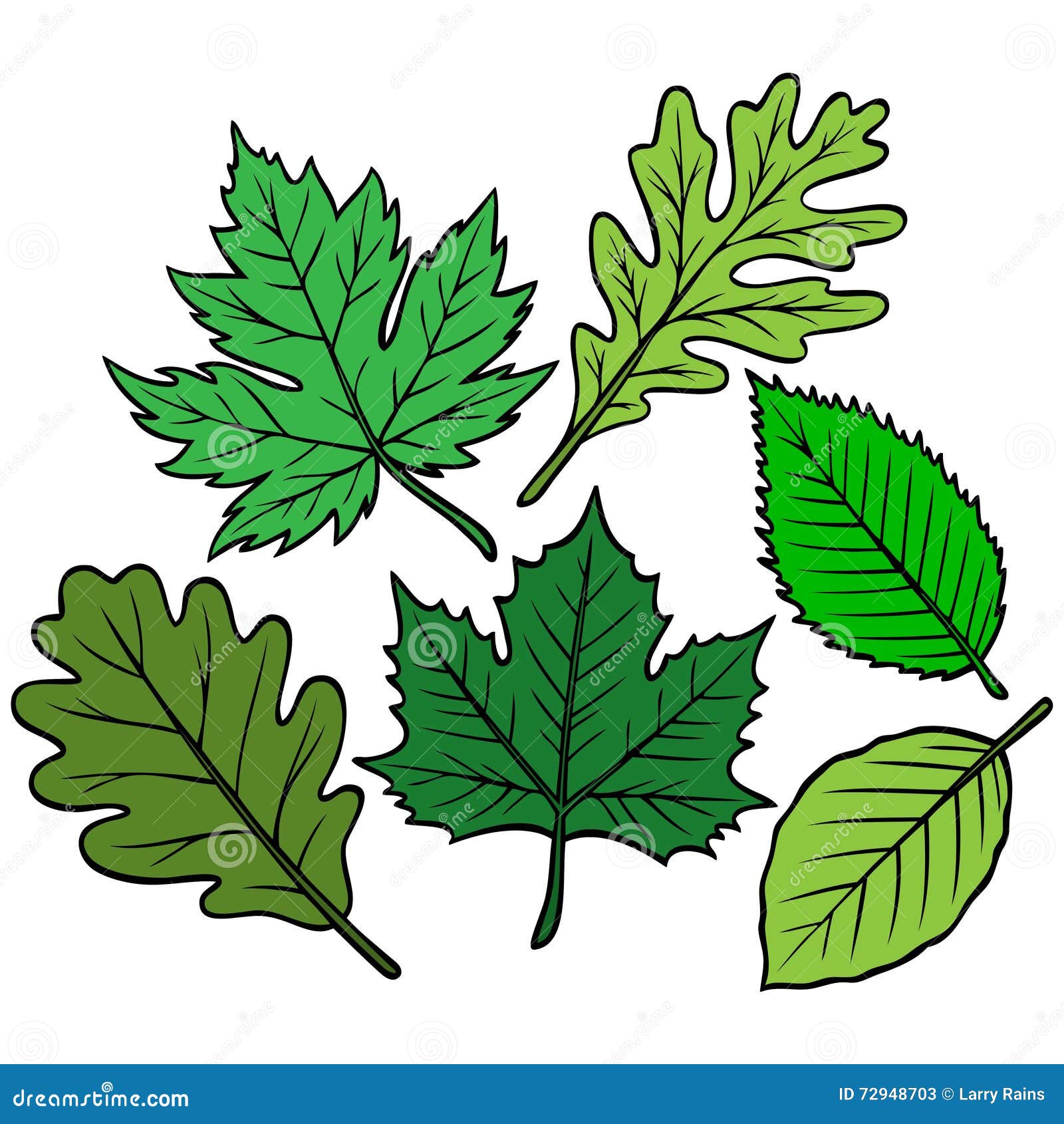 Spring Leaf Collection stock vector. Illustration of cartoon - 72948703