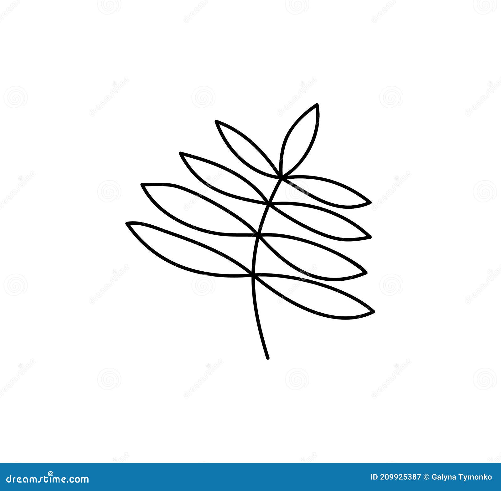 Spring Leaf Outline Vector Line Icon. Doodle Spring Concept Minimal ...