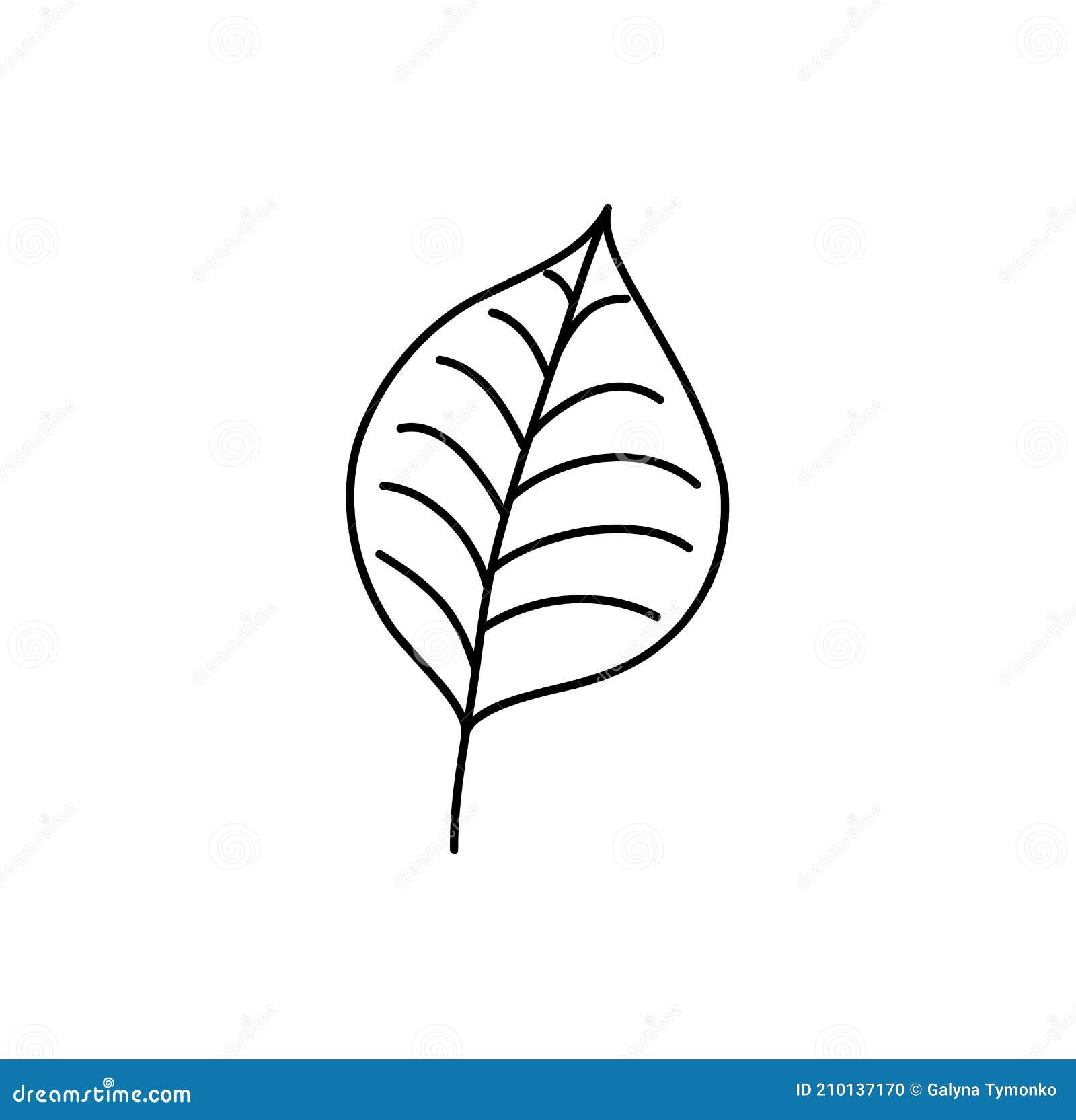 Spring Leaf Outline Vector Line Icon. Doodle Spring Concept Minimal ...
