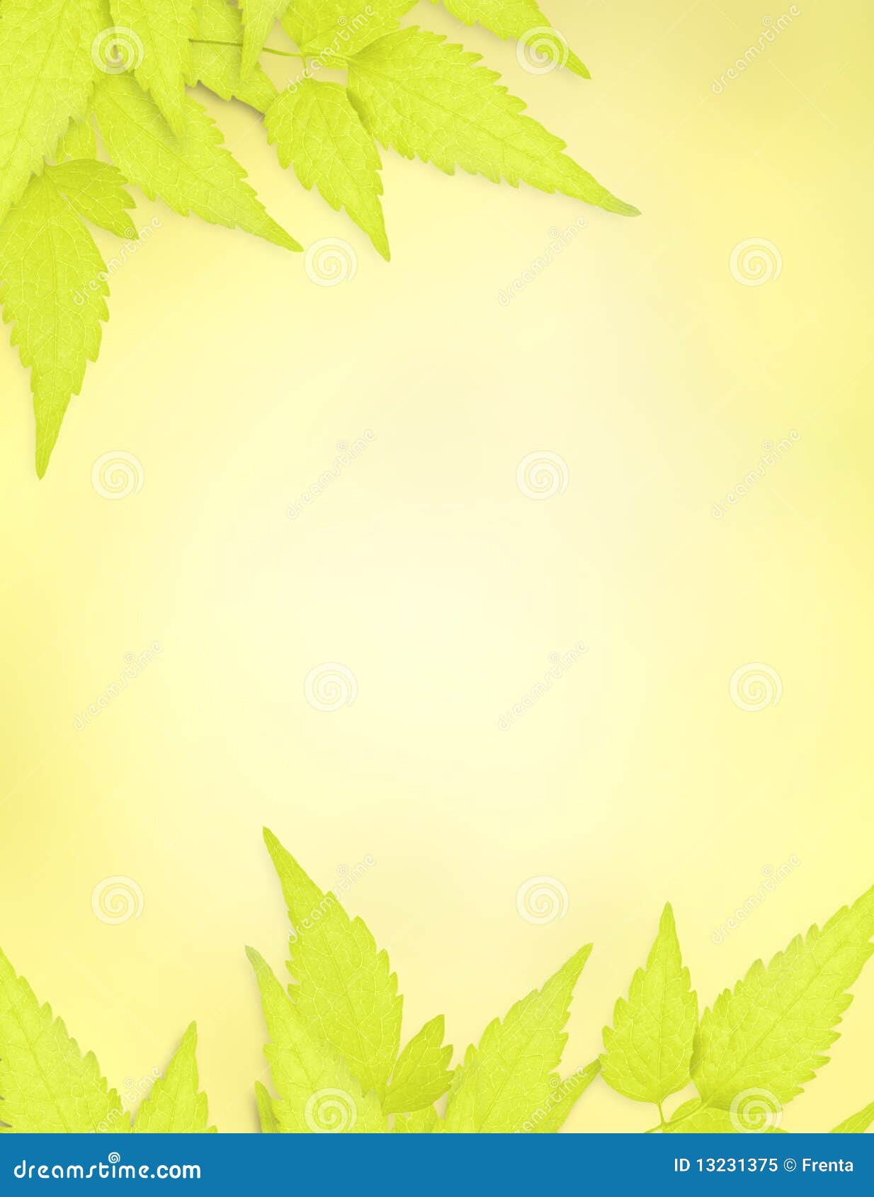 Spring leaves stock image. Image of bright, wallpaper - 13231375