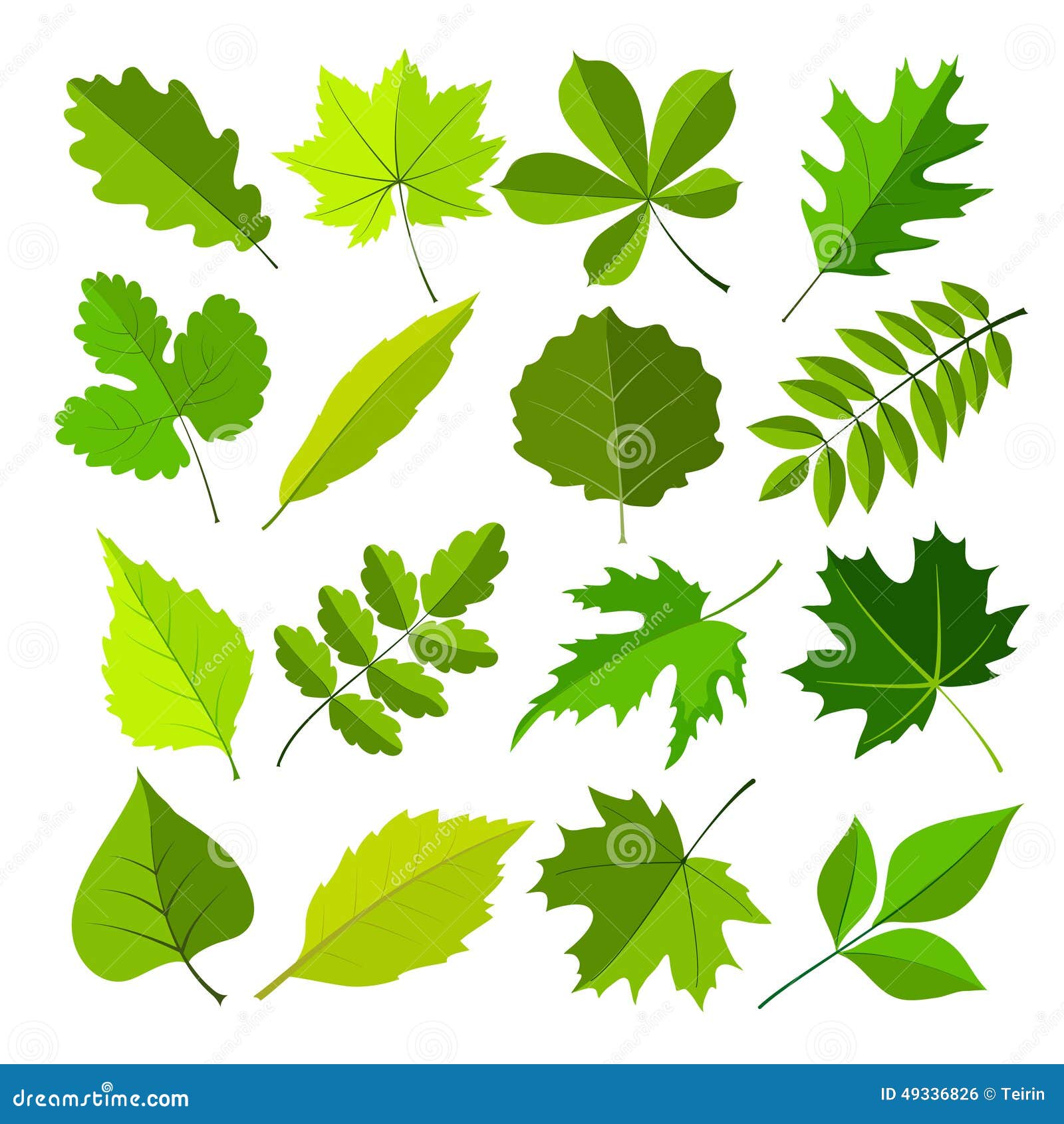 Spring Leaves Flat Style Set Stock Vector - Illustration of natural ...