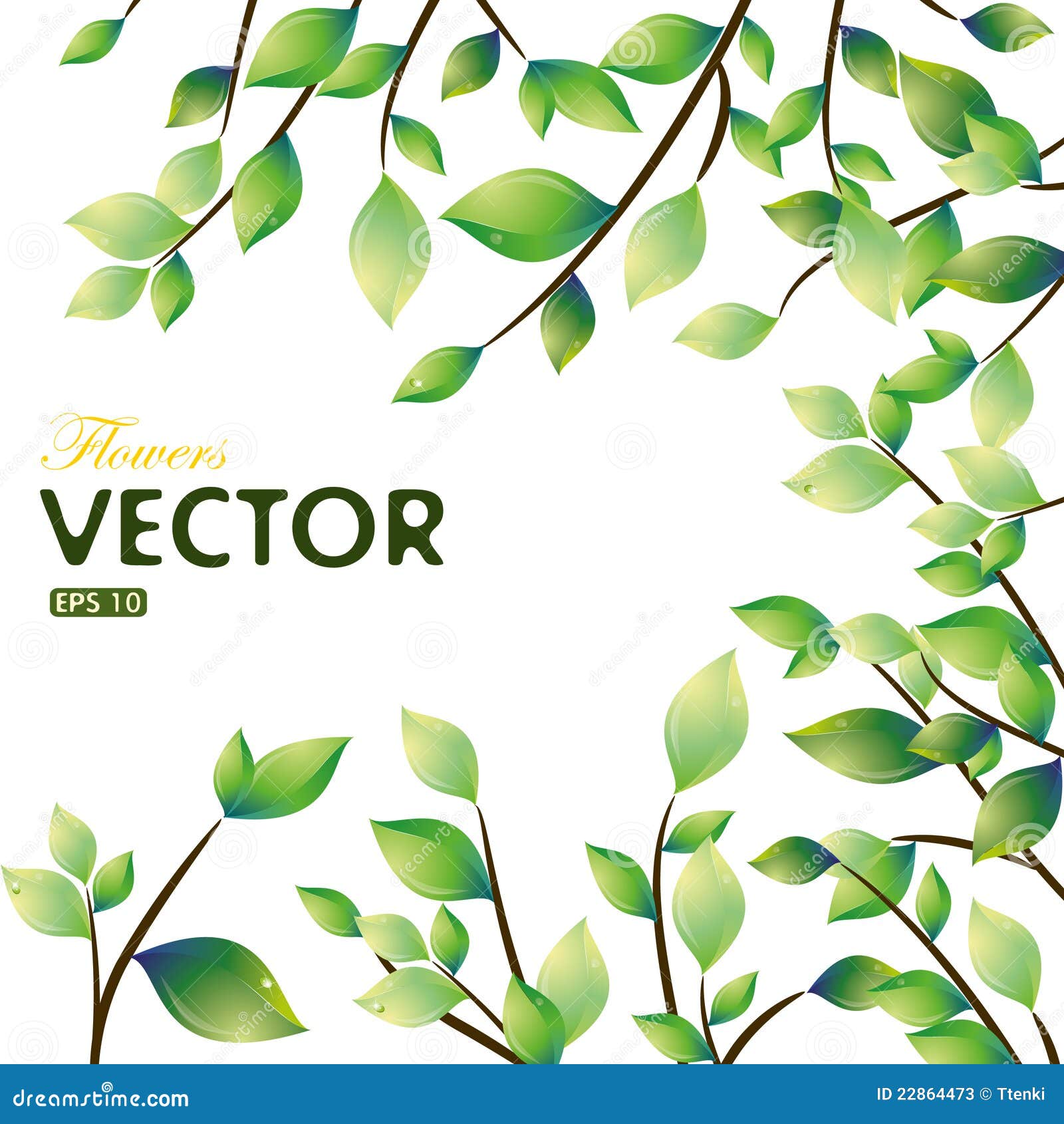 Spring leaves frame stock vector. Illustration of isolated - 22864473