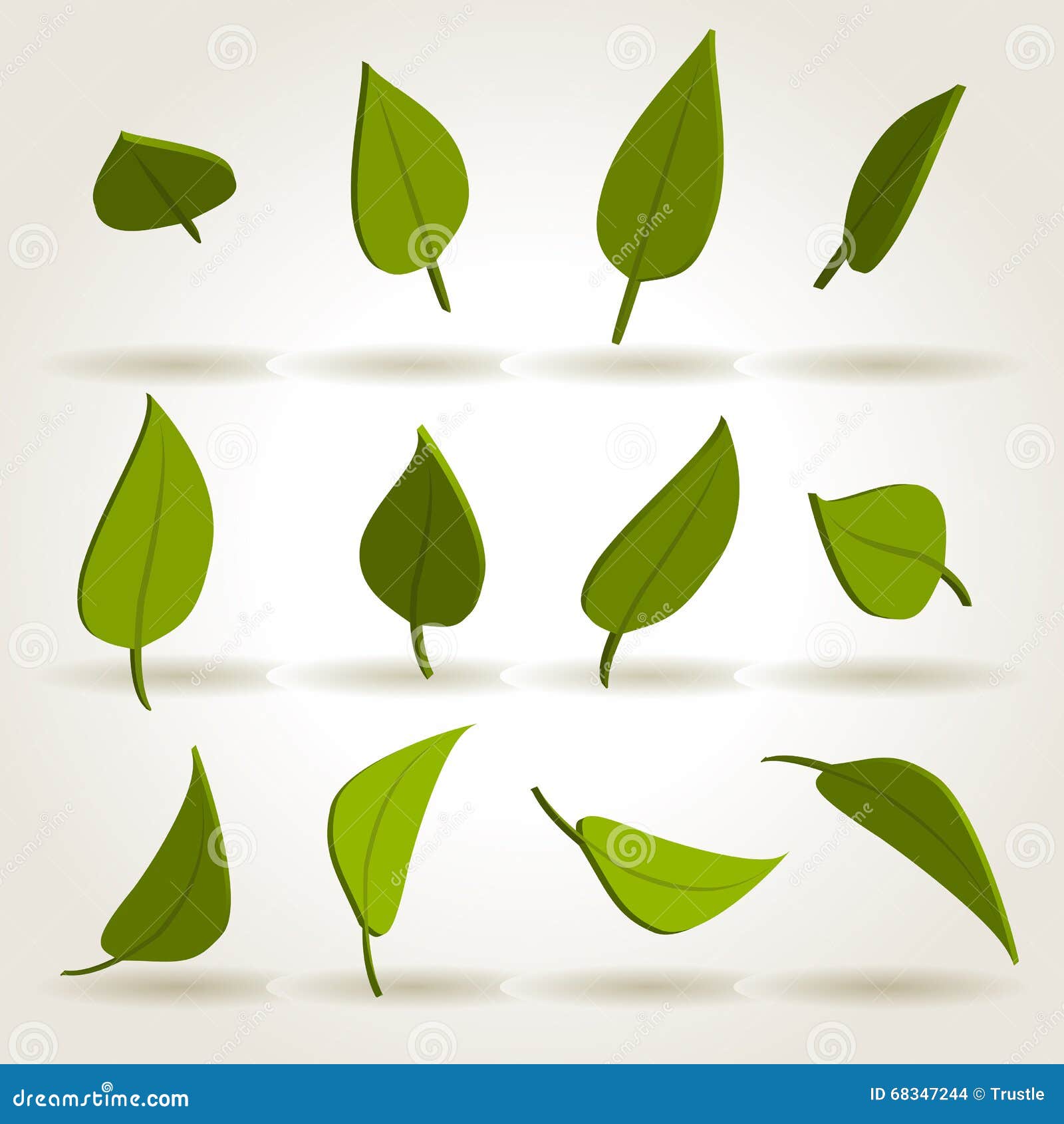 Spring leaves set stock vector. Illustration of line - 68347244