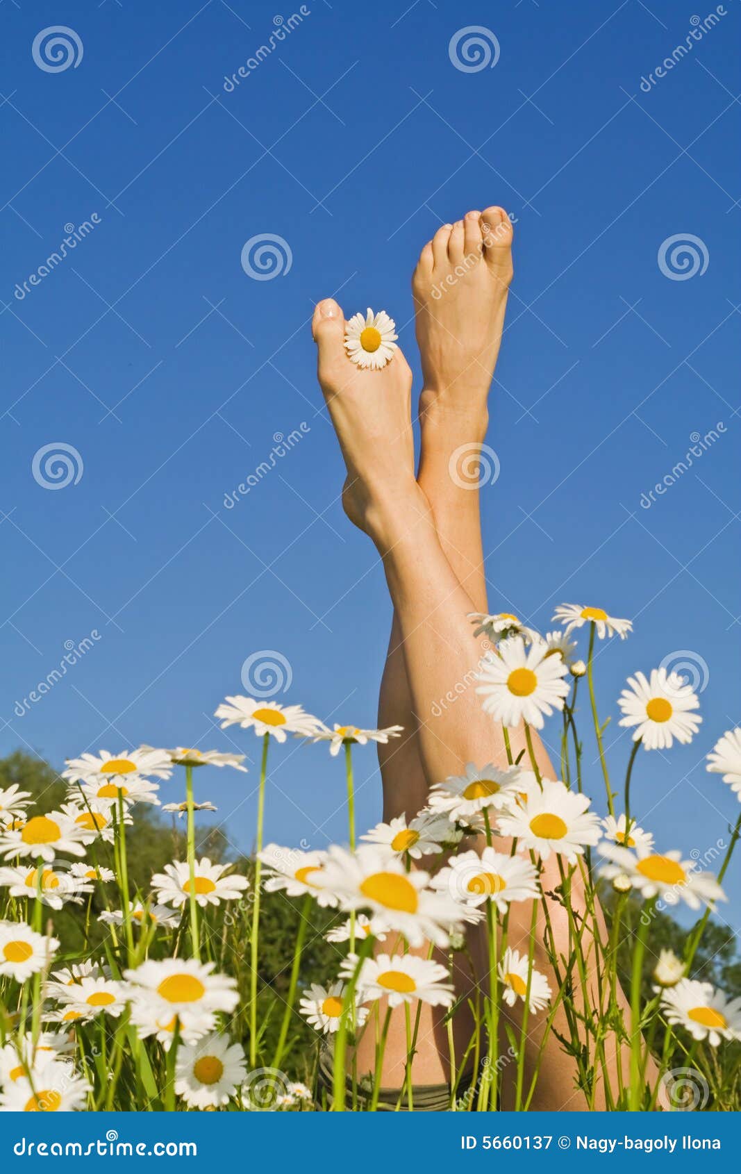 Spring legs stock image. Image of people, nature, flowers - 5660137