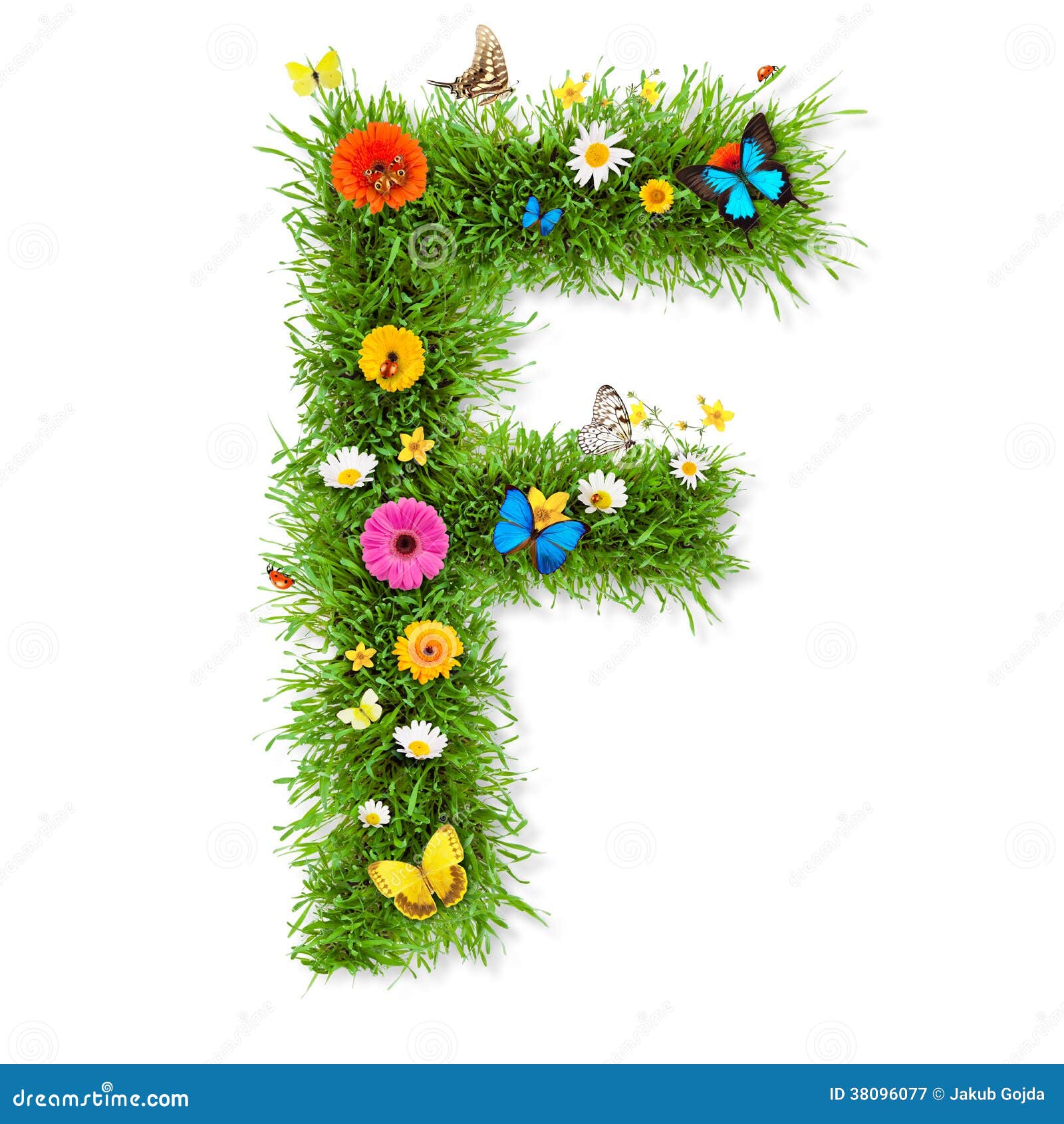 Spring letter F stock illustration. Illustration of natural - 38096077