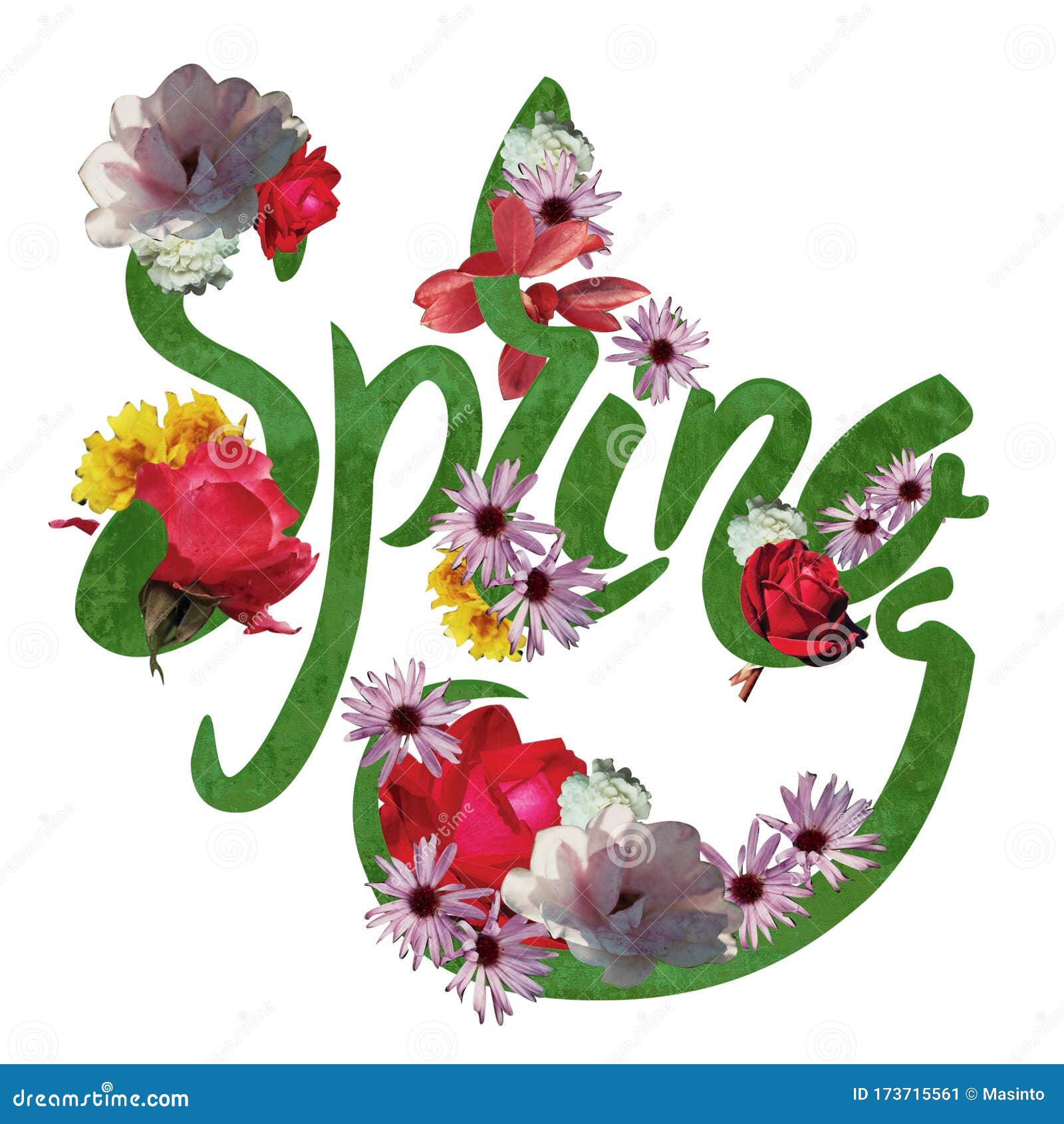 Spring Lettering Over White Background Stock Illustration ...