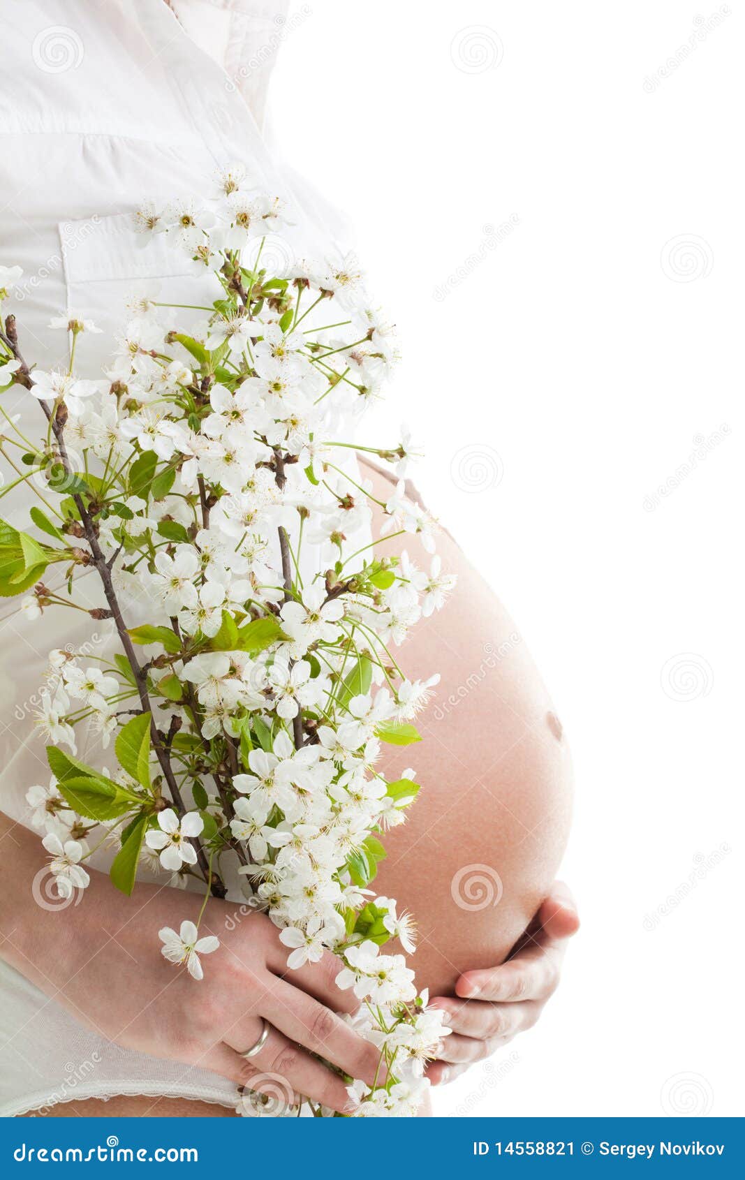 Spring of life stock image. Image of motherhood, sprig - 14558821